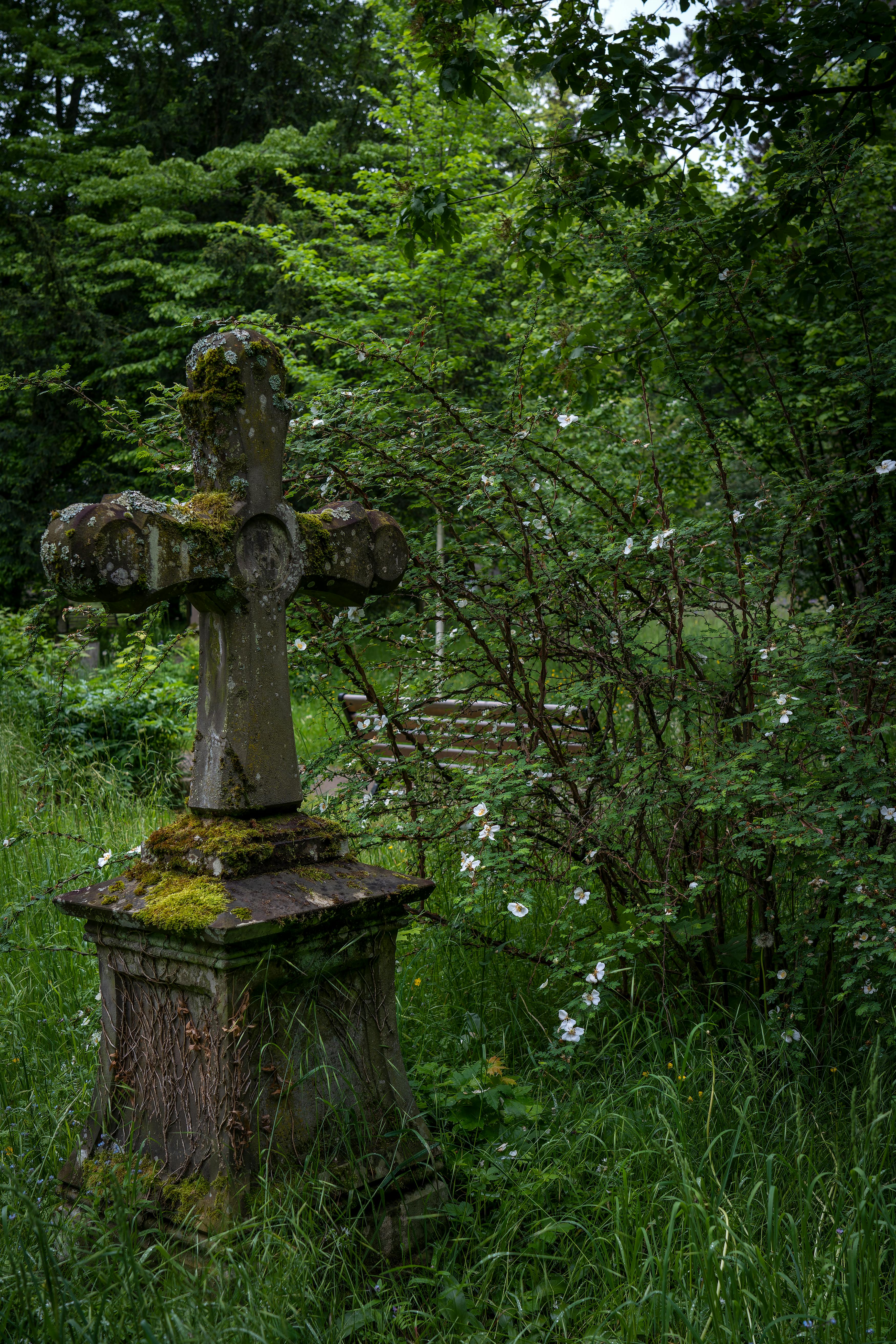 Mossy Cross on an Old Tomb Stone at a Abandoned Cemetery · Free Stock Photo