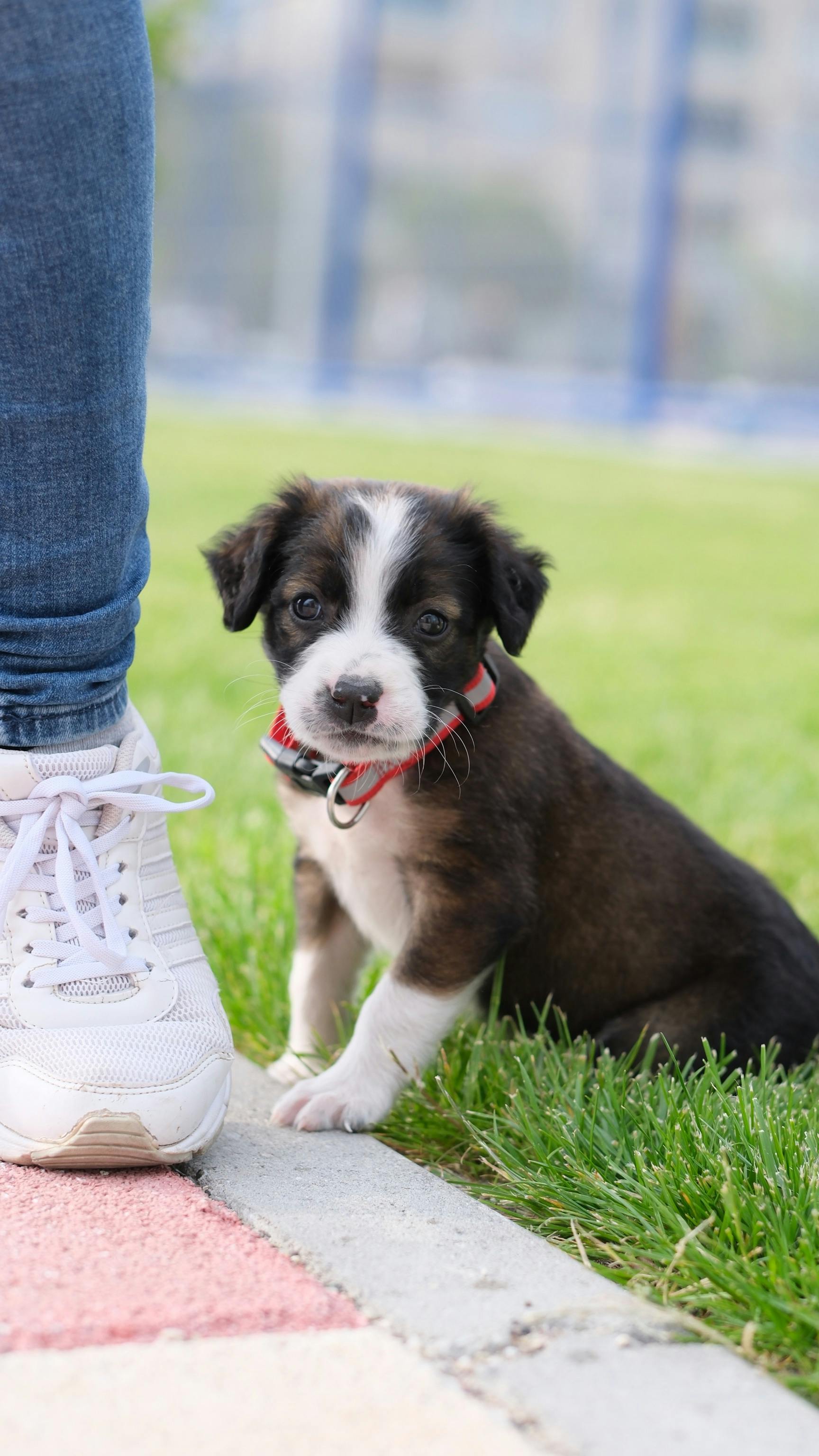 Leg Measurement Photos, Download The BEST Free Leg Measurement Stock ...