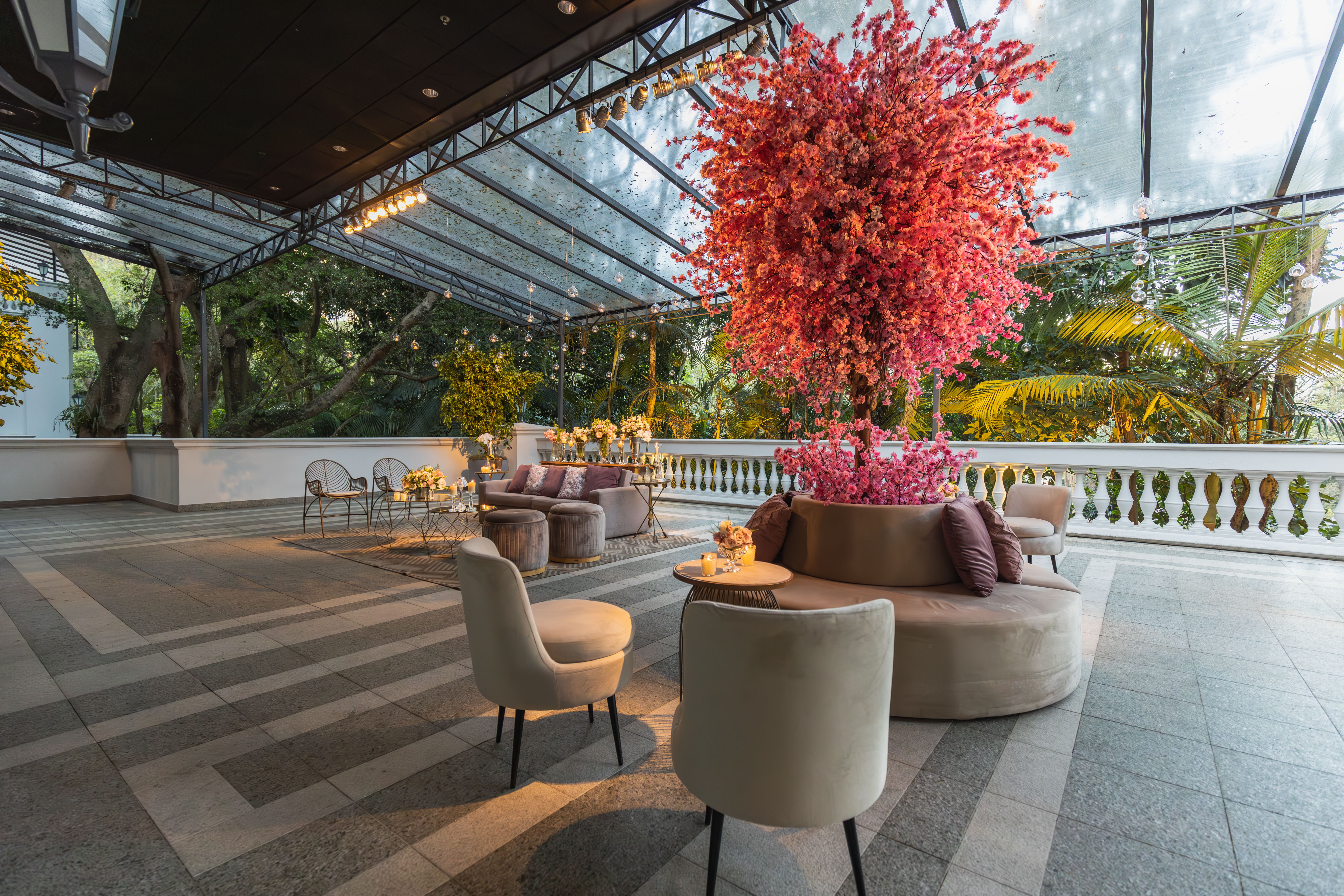 Luxury Terrace with a Cherry Blossom Tree · Free Stock Photo
