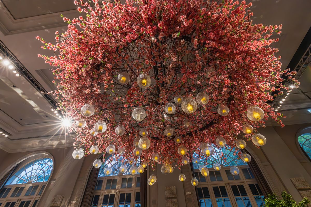 Pink Chandeliers Photos, Download The BEST Free Pink Chandeliers Stock ...