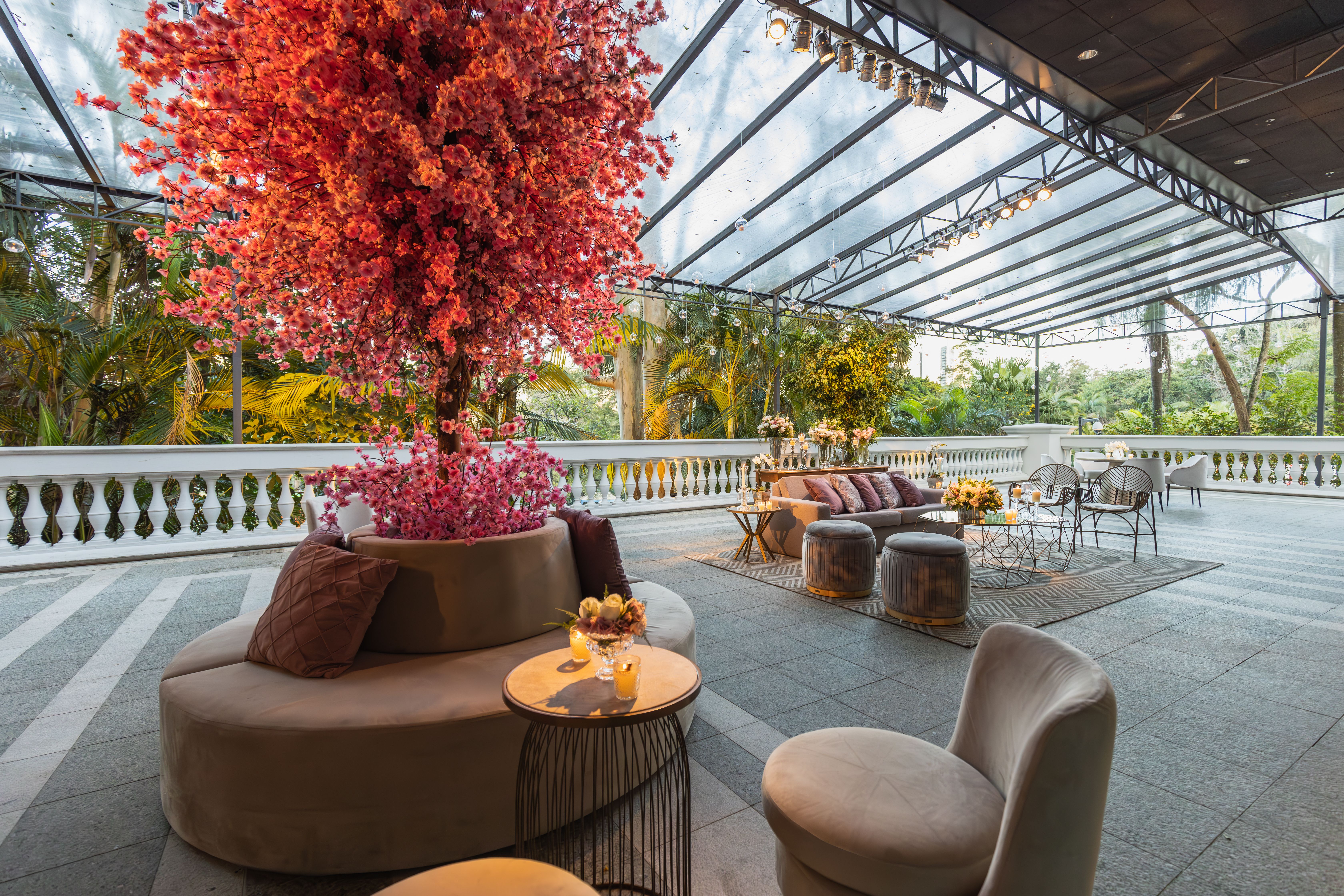 Terrace Decorated with Tree · Free Stock Photo