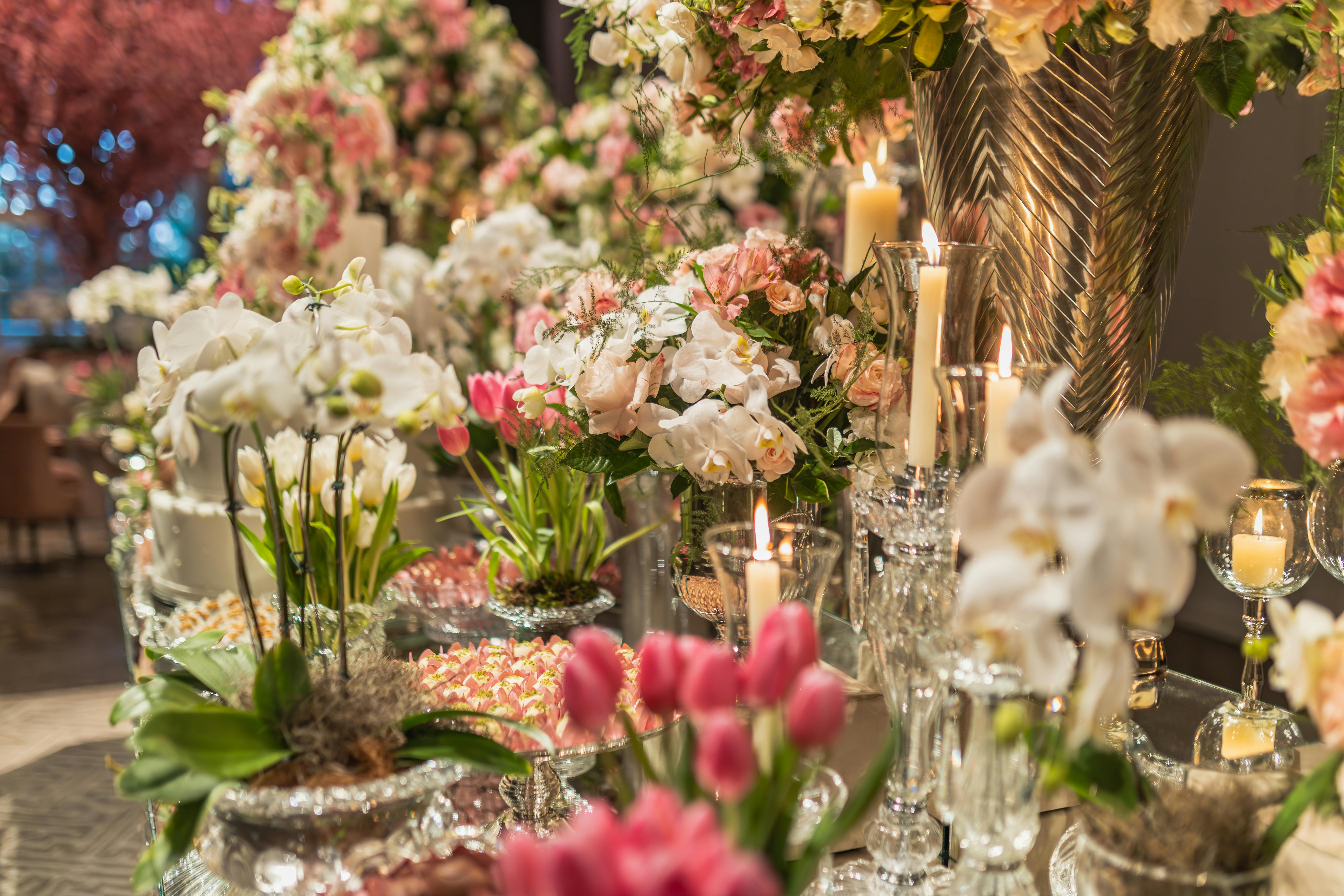 Candle Fish Photos, Download The BEST Free Candle Fish Stock Photos ...