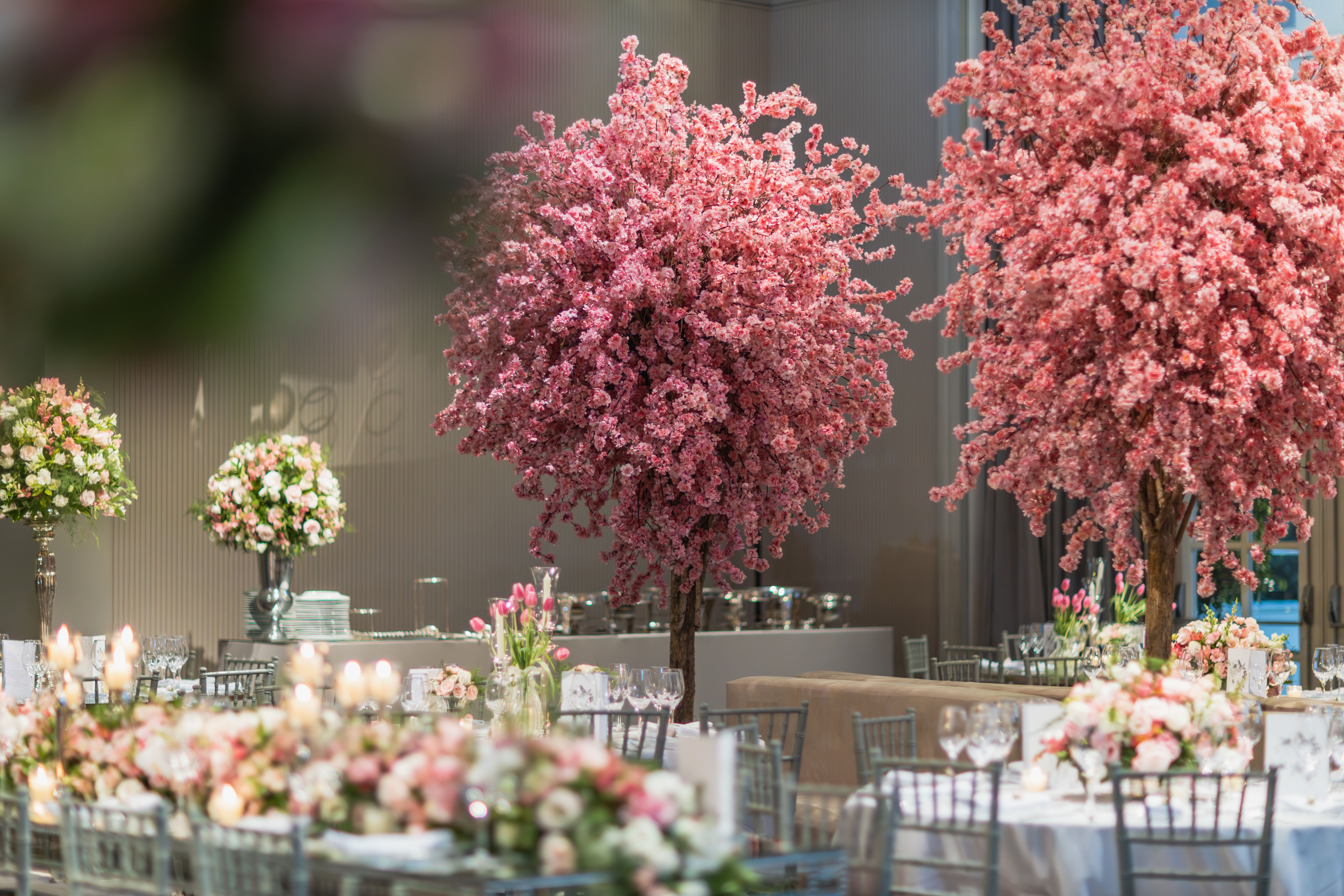 Blossoming Cherry Trees at a Wedding Reception · Free Stock Photo