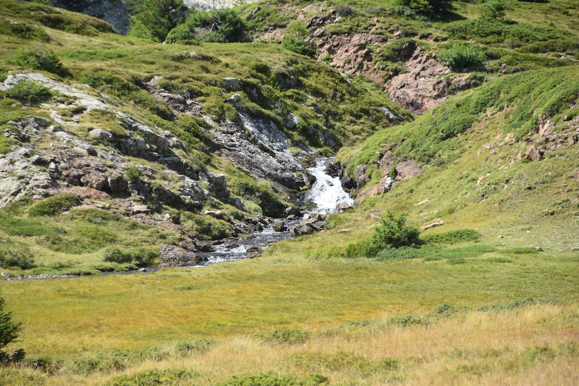 Grassland near Stream · Free Stock Photo Grassland near Stream · Free Stock Photo