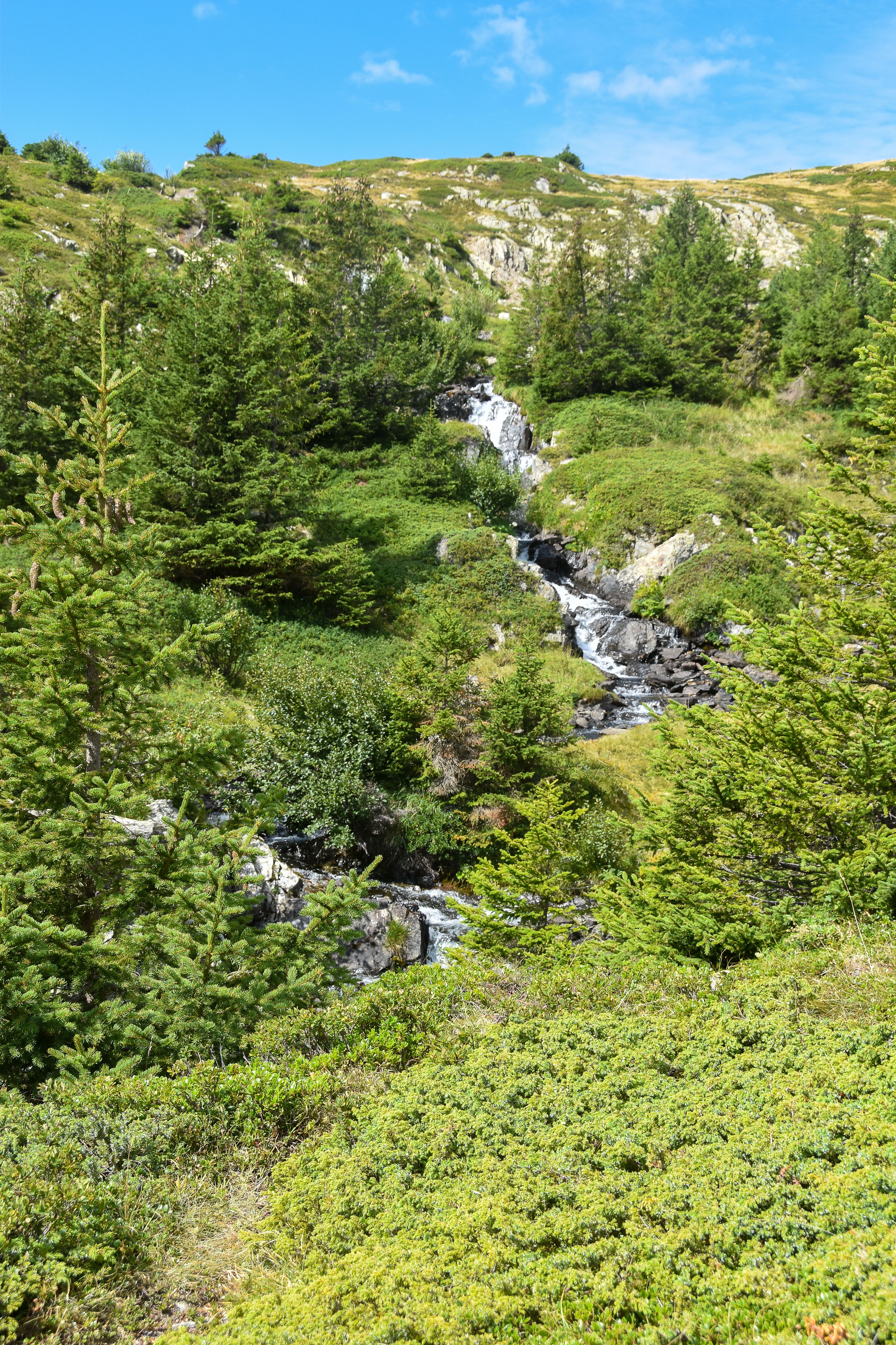 Green Hill with a Stream · Free Stock Photo