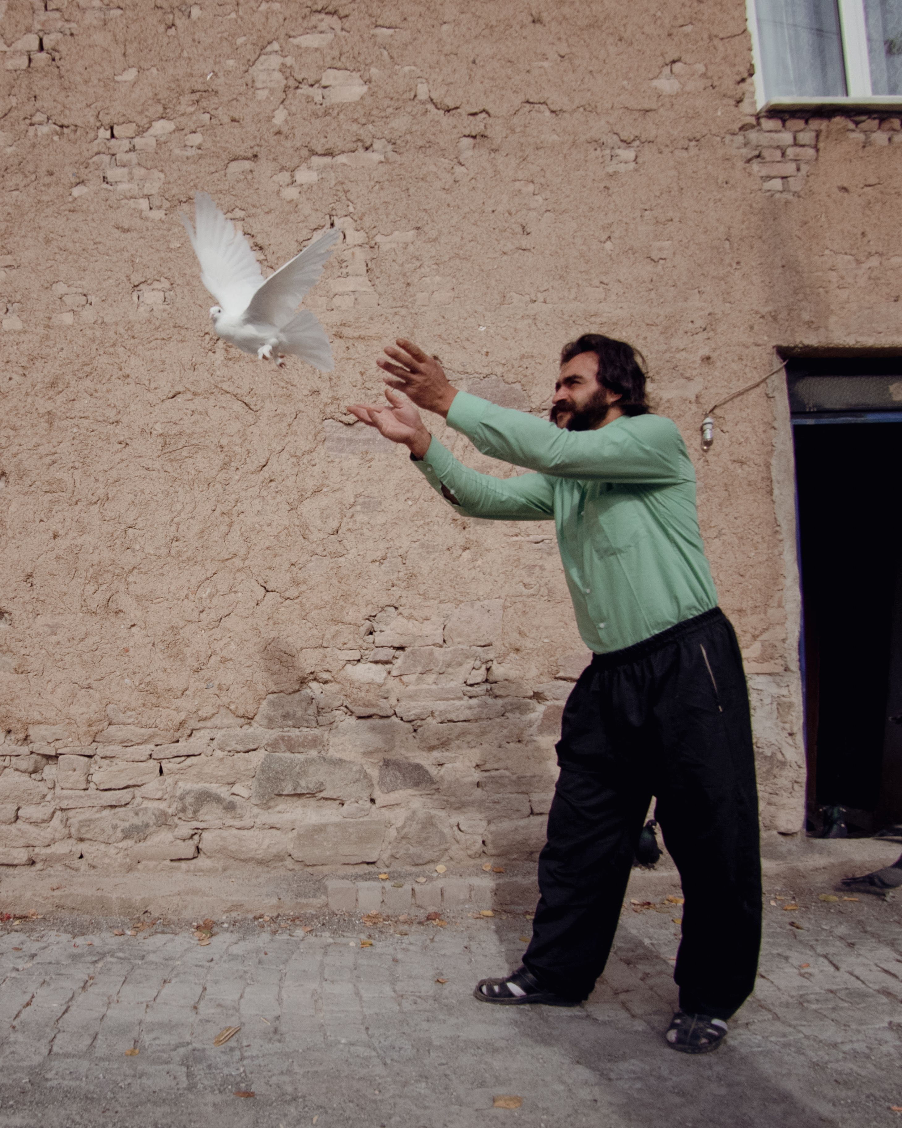 Man with White Pigeon in Town · Free Stock Photo