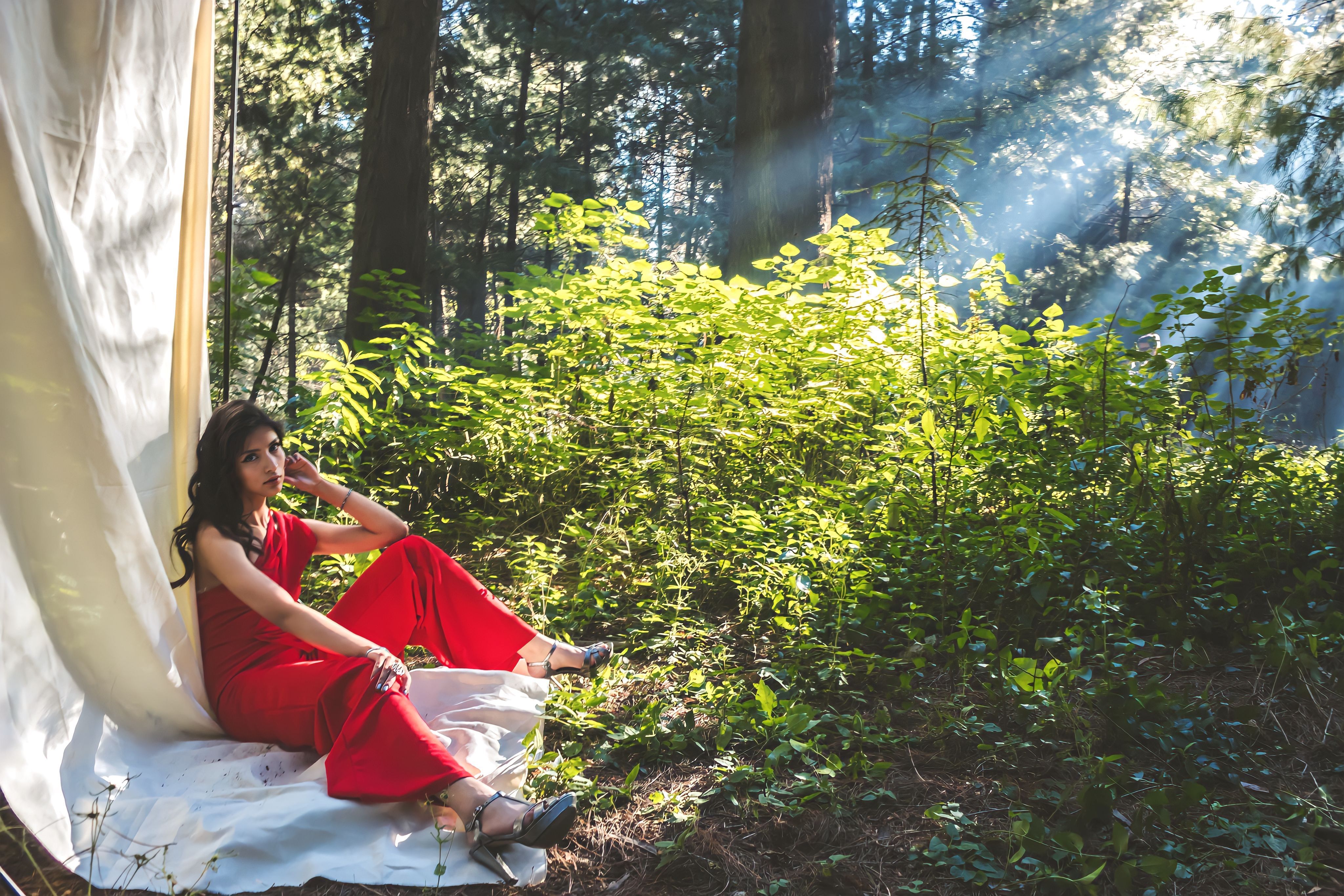 Foto de stock gratuita sobre al aire libre, arboles, artístico, belleza ...