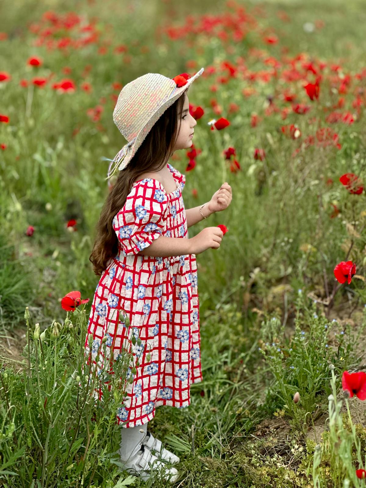 Poppy Girl Flower Photos, Download The BEST Free Poppy Girl Flower ...