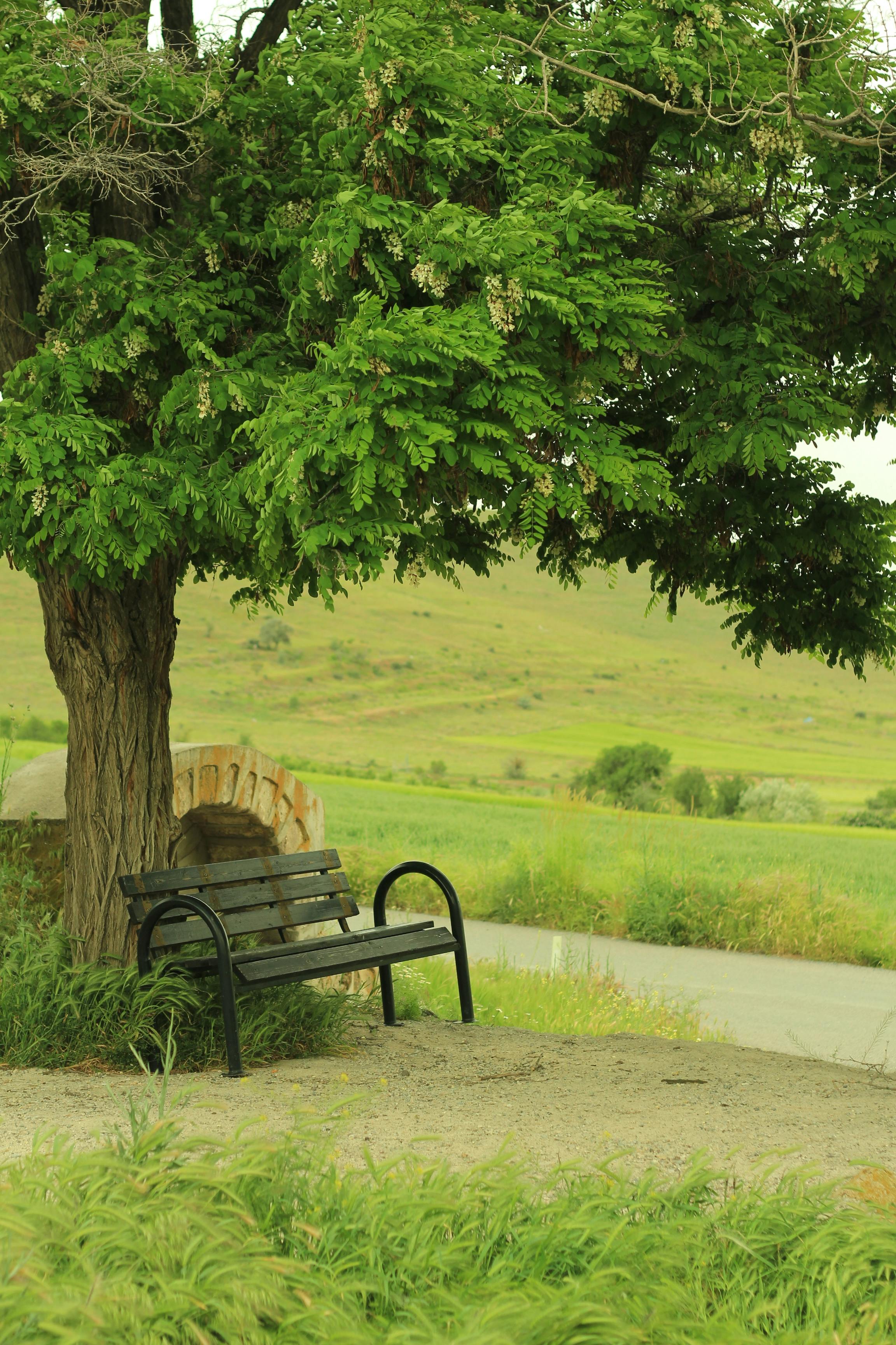 Road Landscape Photos, Download The BEST Free Road Landscape Stock ...