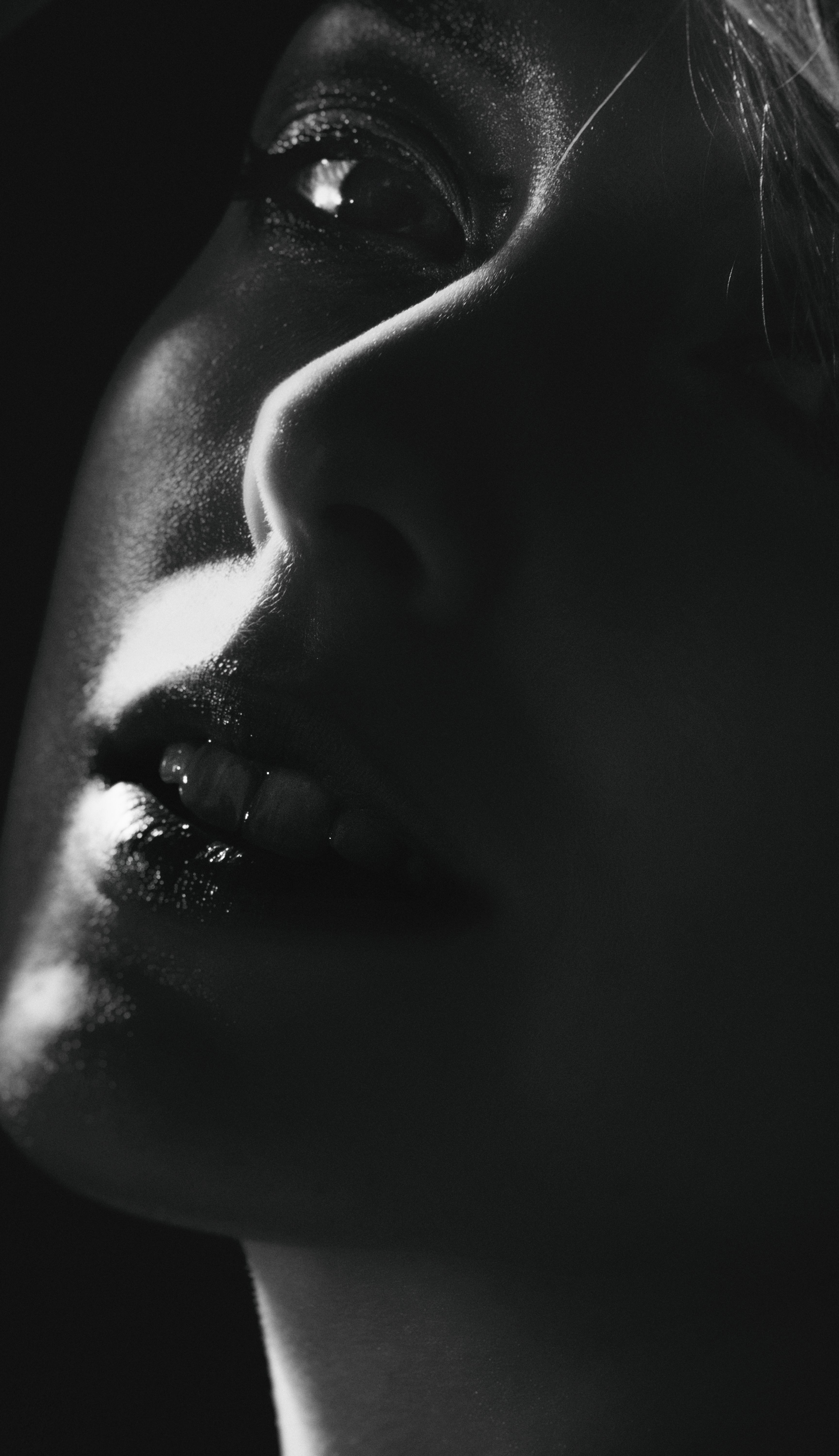 Woman Face in Close-up View · Free Stock Photo