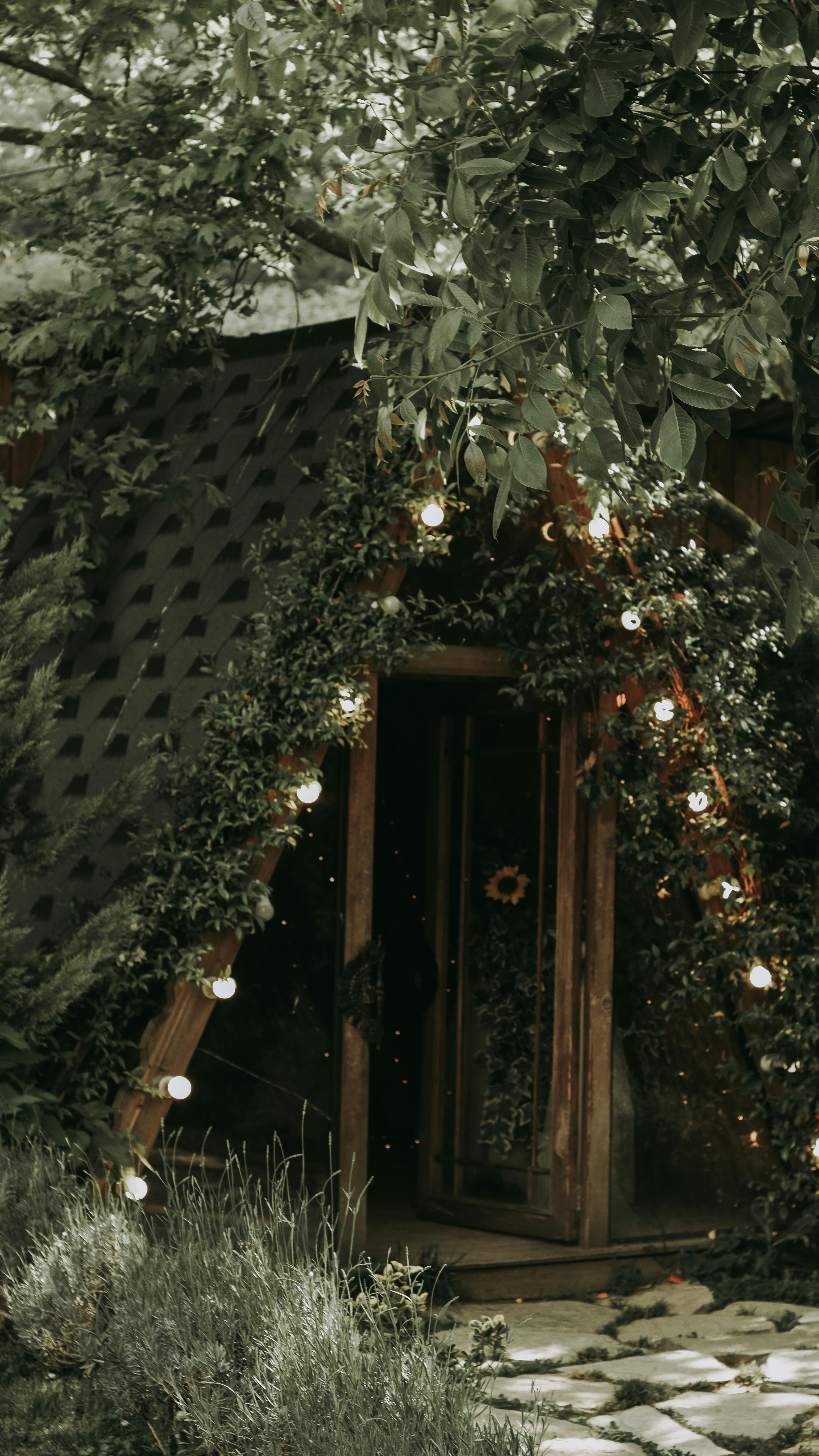 Entrance to a Little Triangle House Decorated with Lights · Free Stock ...