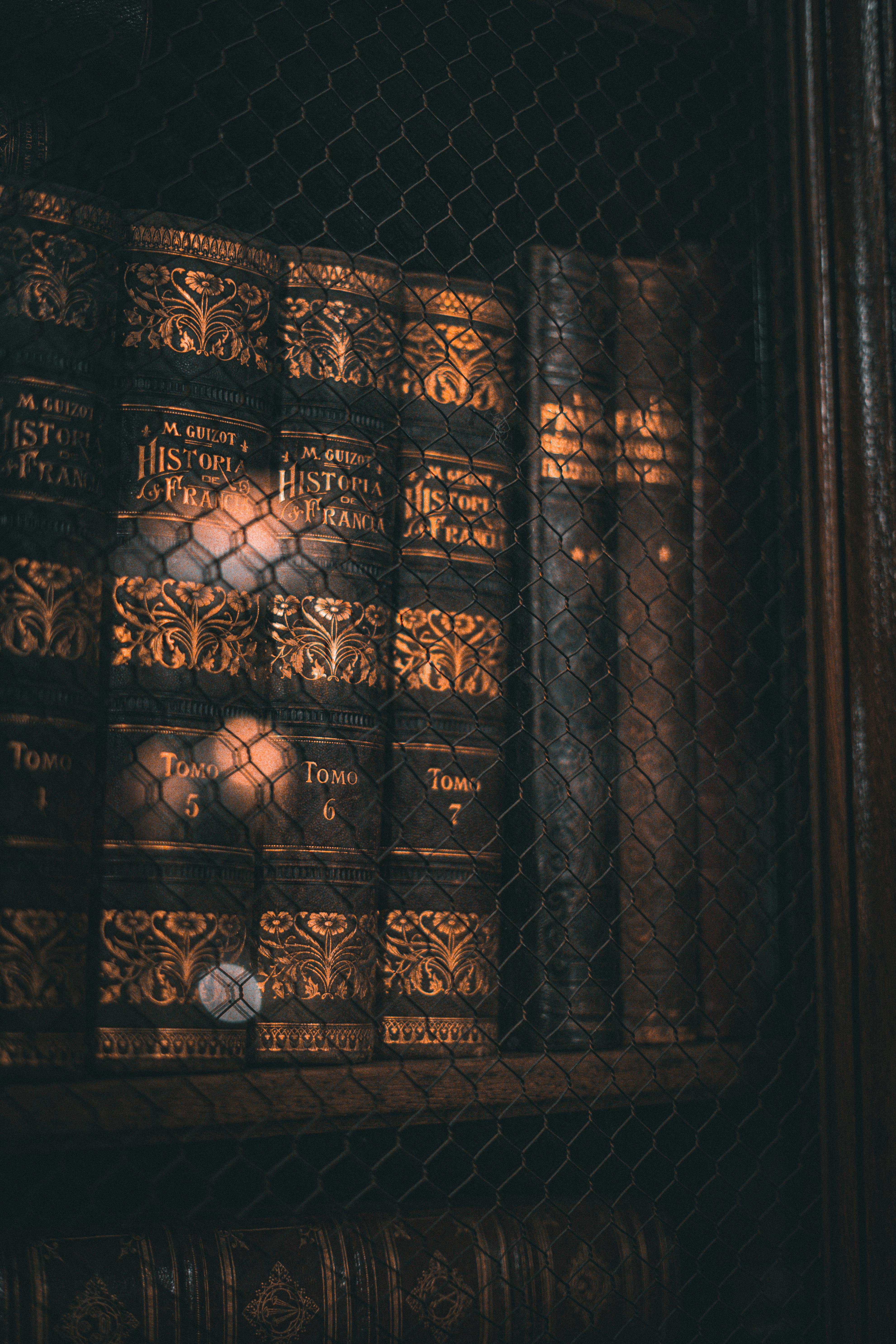 Rolex Collection Photos, Download The BEST Free Rolex Collection Stock ...