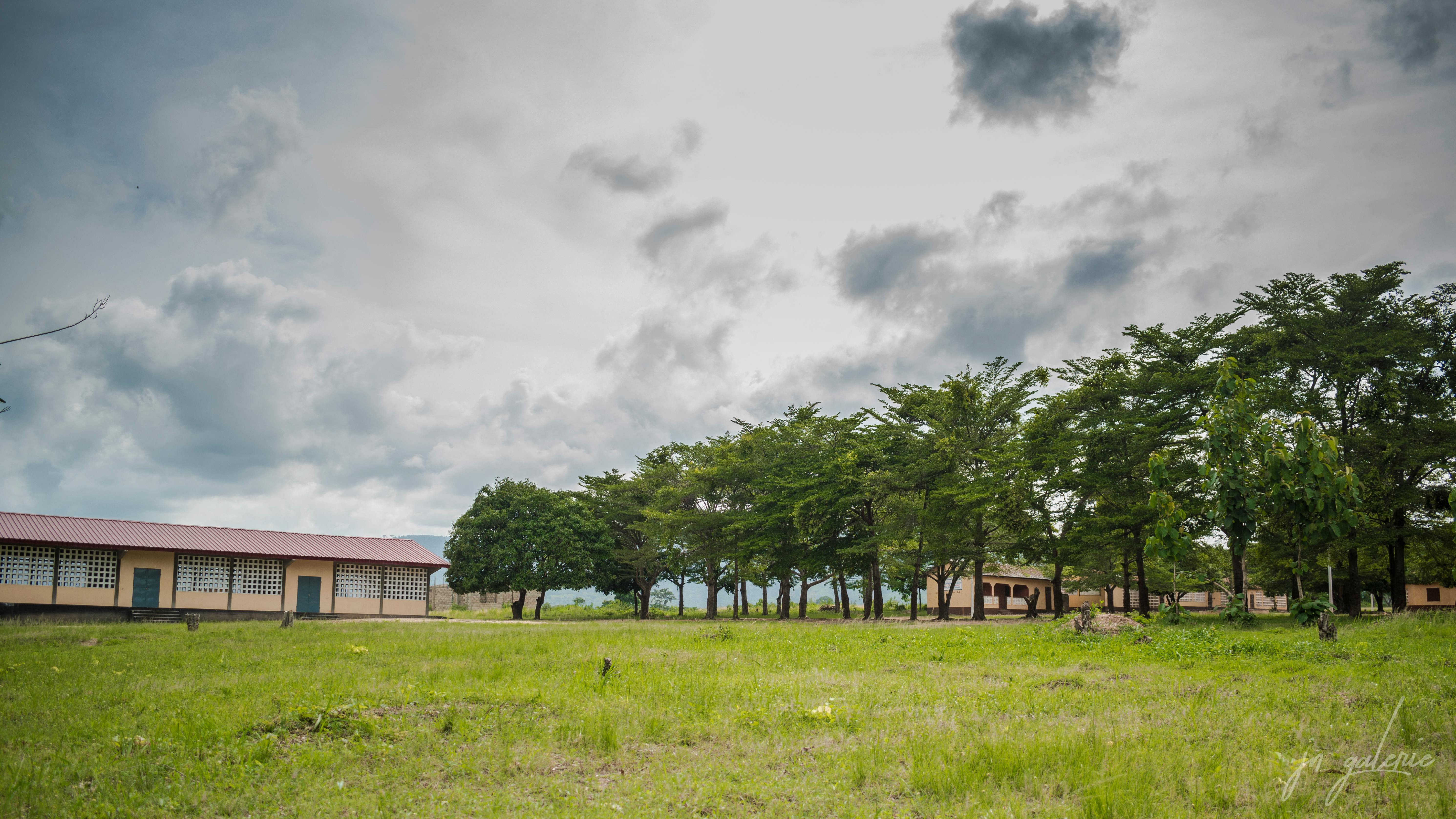 Free stock photo of chill, green, landscape