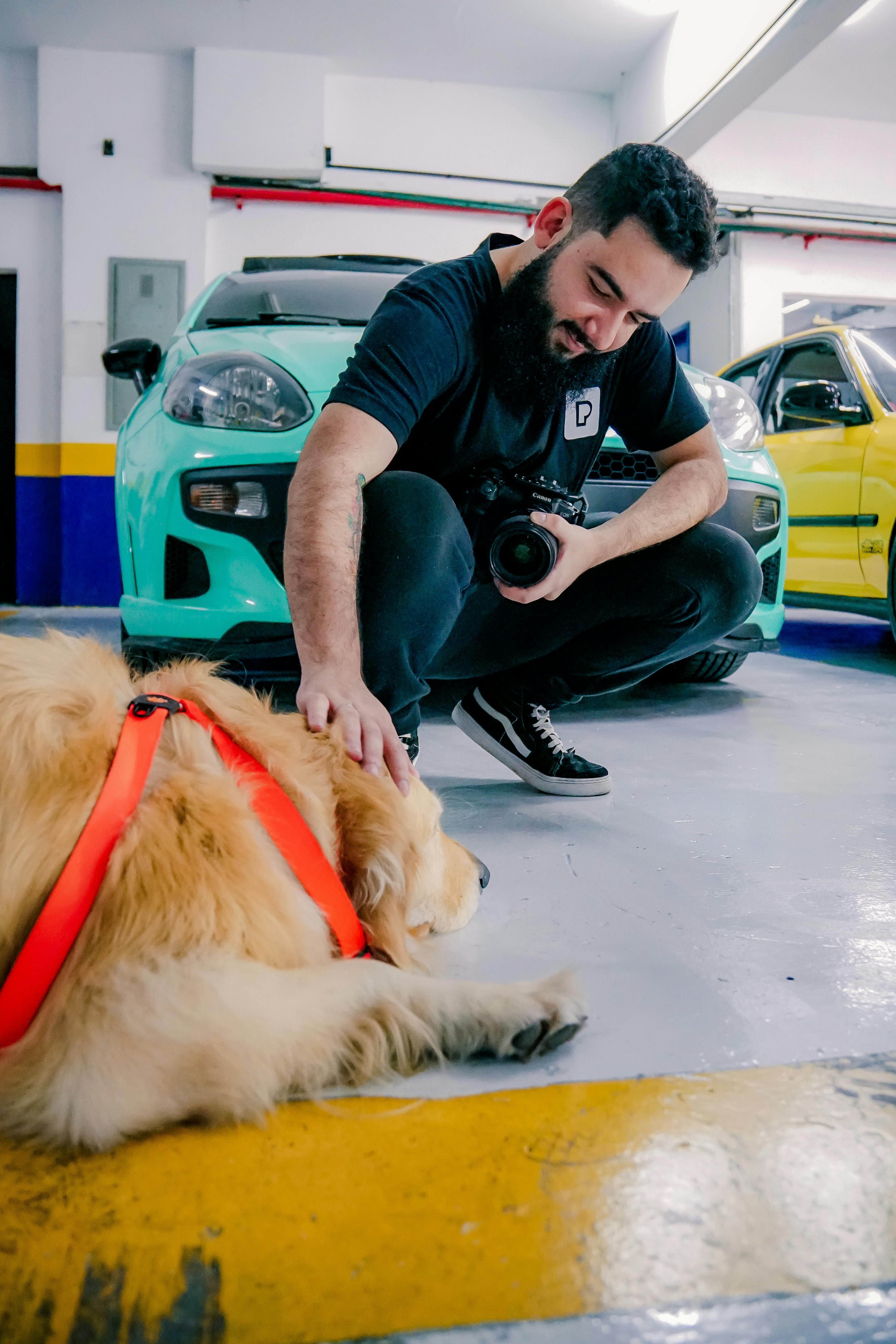 Mechanic Dog Photos, Download The BEST Free Mechanic Dog Stock Photos ...
