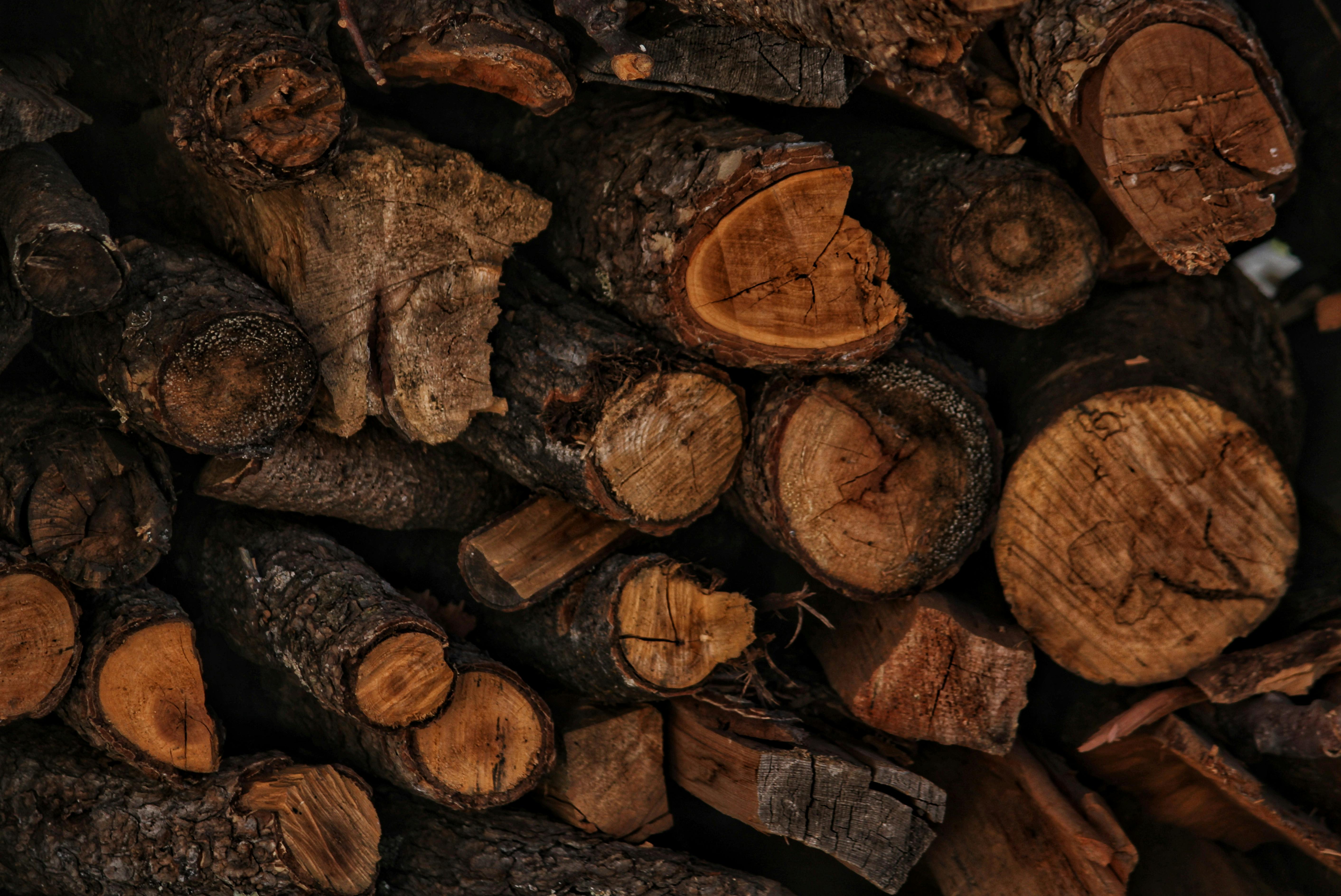 Brown and Beige Wood Logs · Free Stock Photo