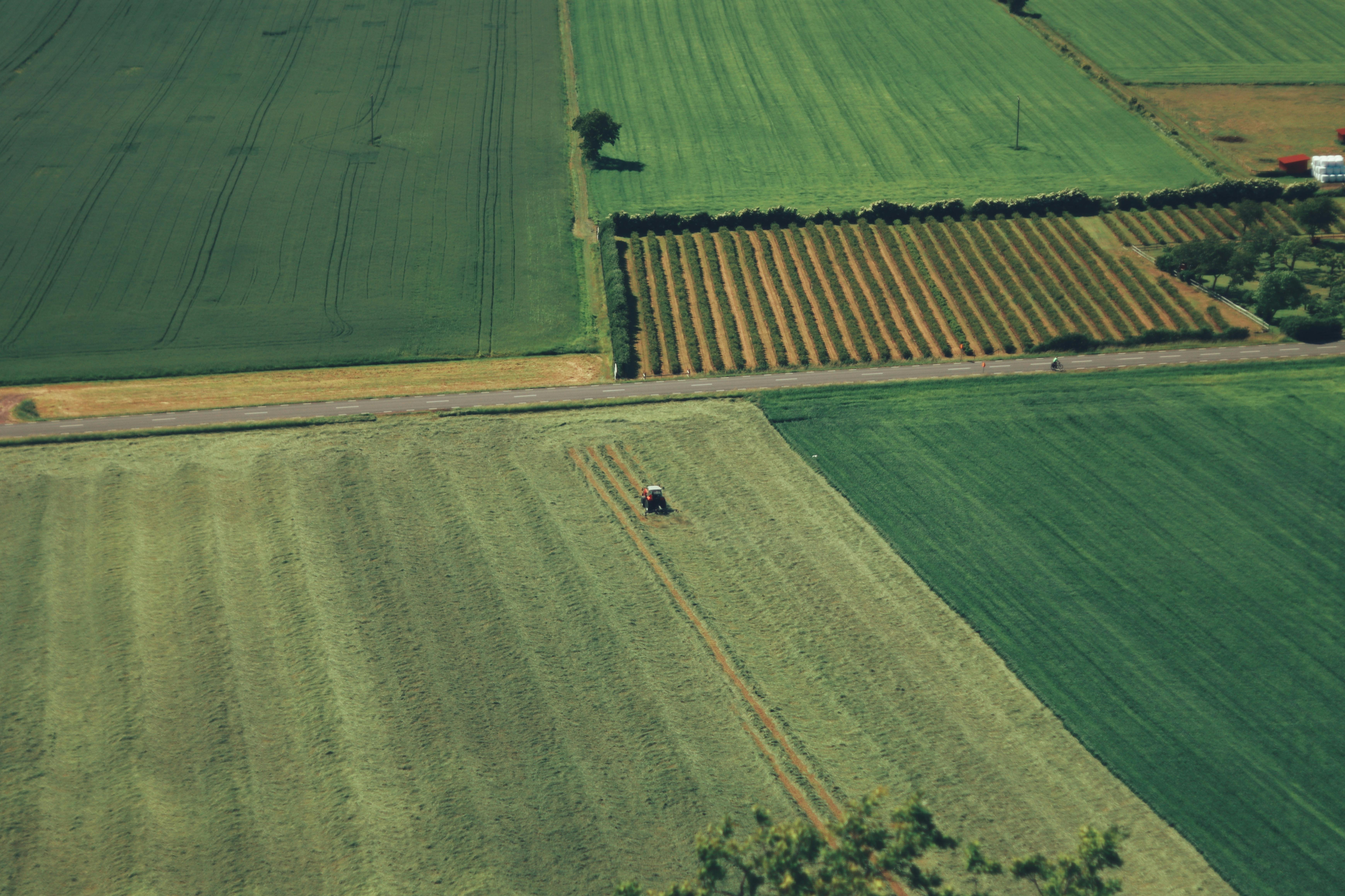 Aerial View of Croplands · Free Stock Photo