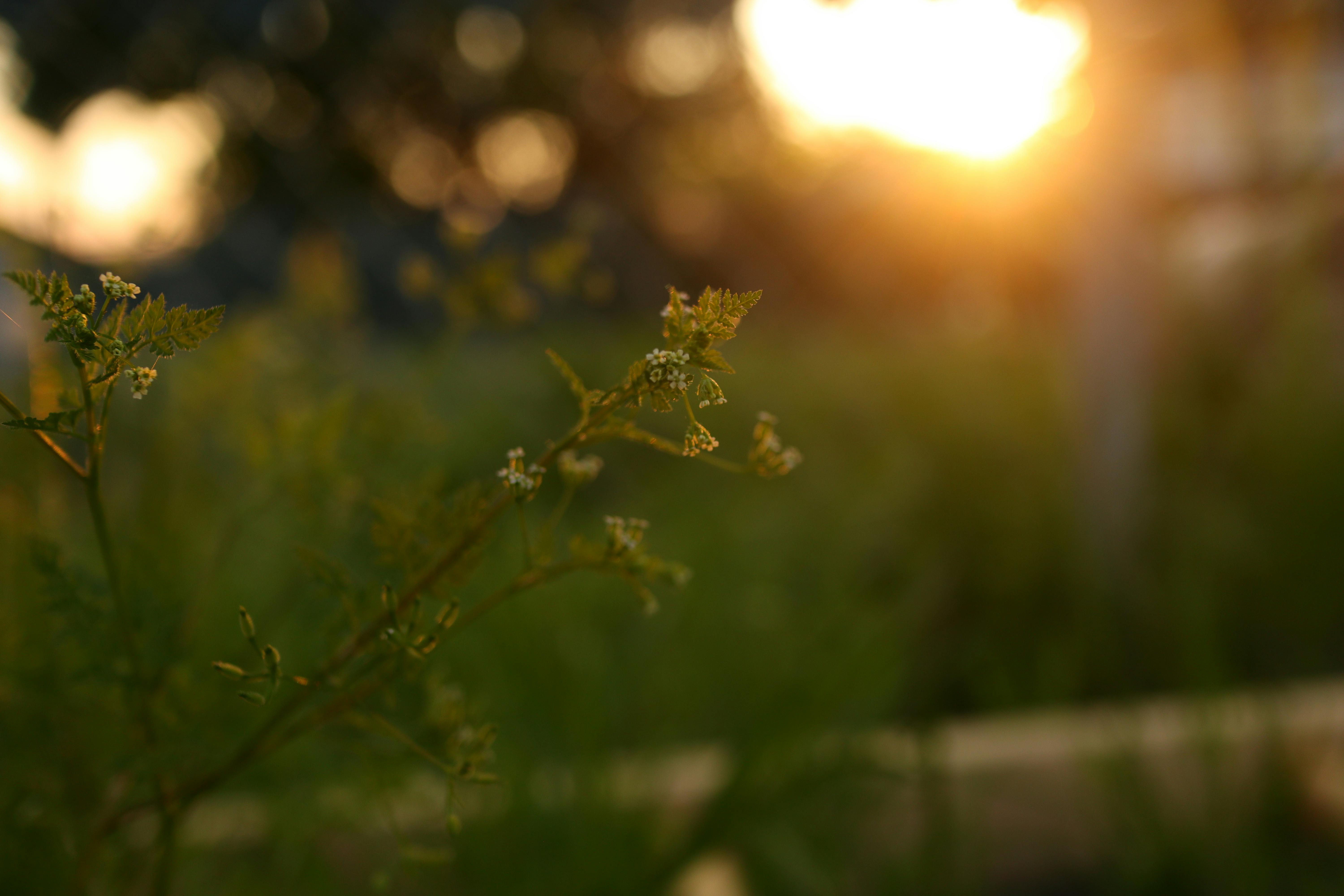 Manda Walker - Photography