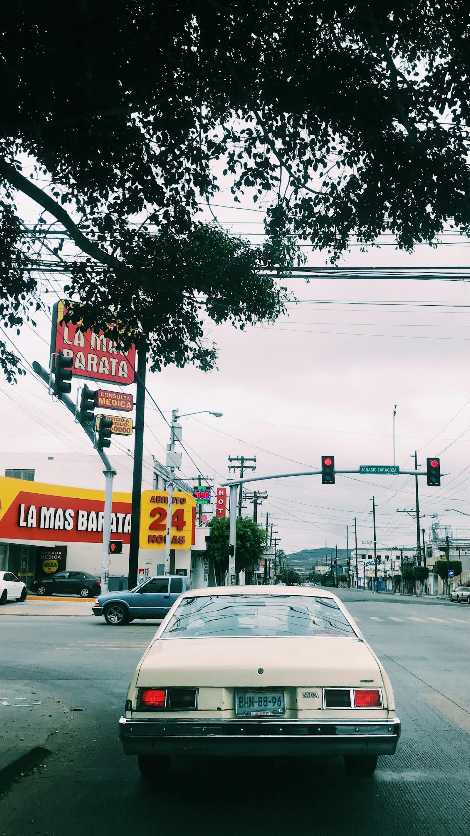 Tijuana Photos, Download The BEST Free Tijuana Stock Photos & HD Images