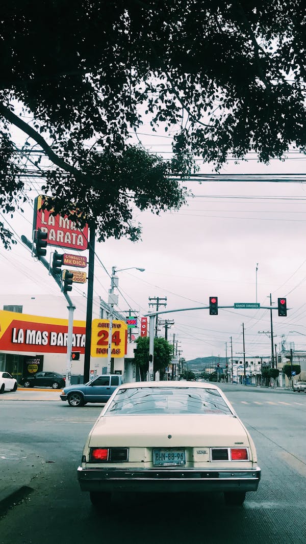 Tijuana, Mexico Photos, Download The BEST Free Tijuana, Mexico Stock ...