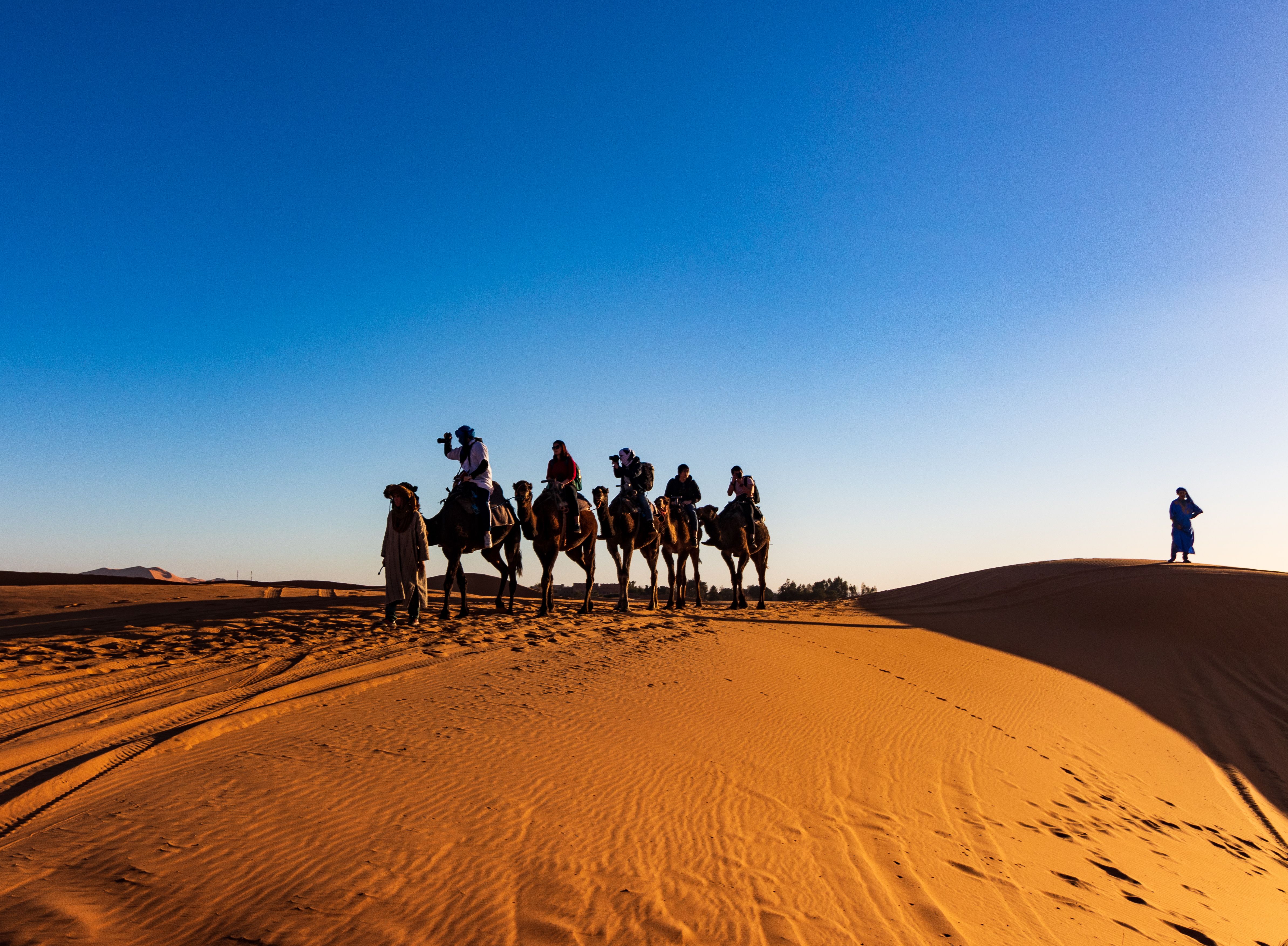 People Riding on Camels · Free Stock Photo