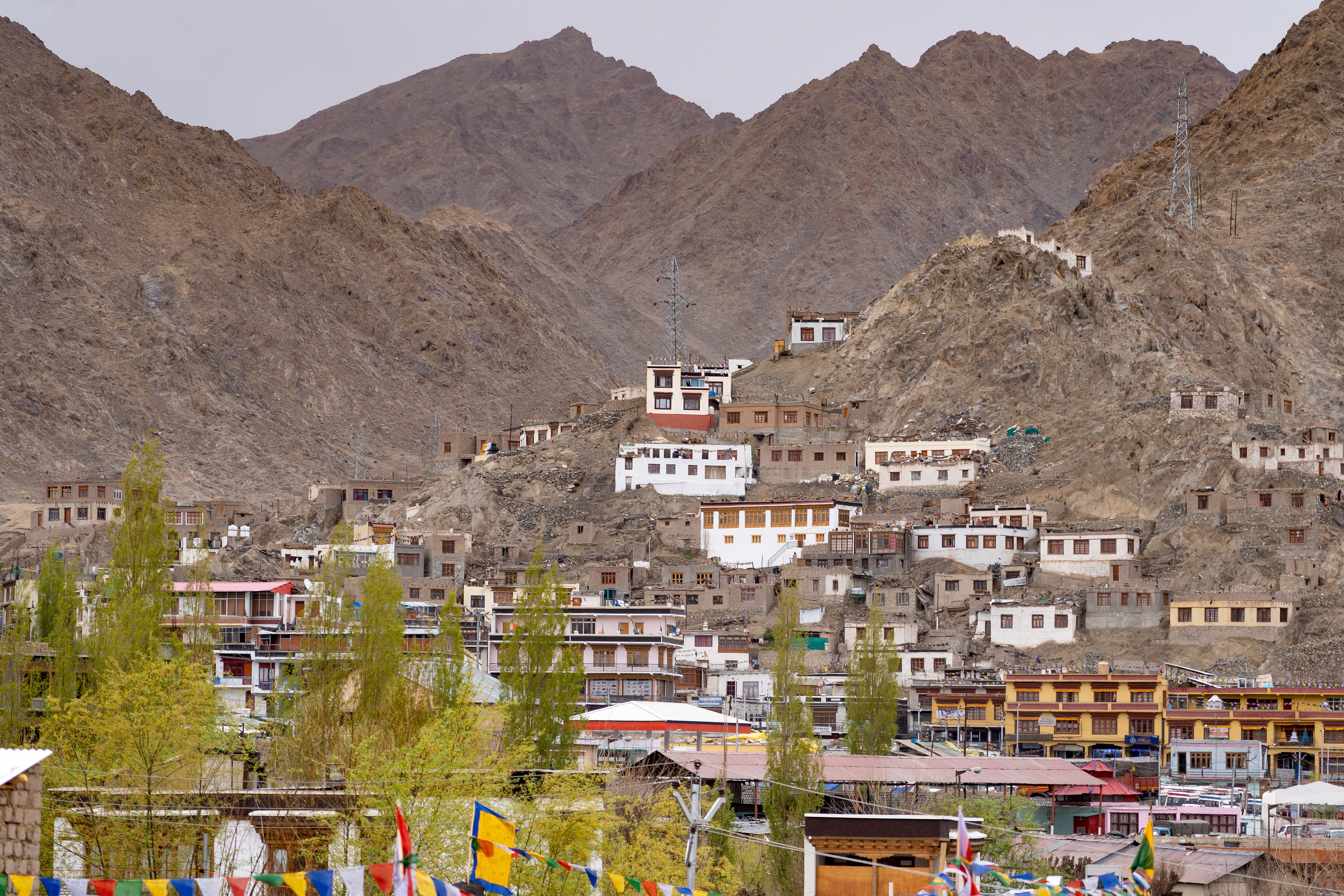 View the Town of Leh and Mountains, Ladakh, India · Free Stock Photo