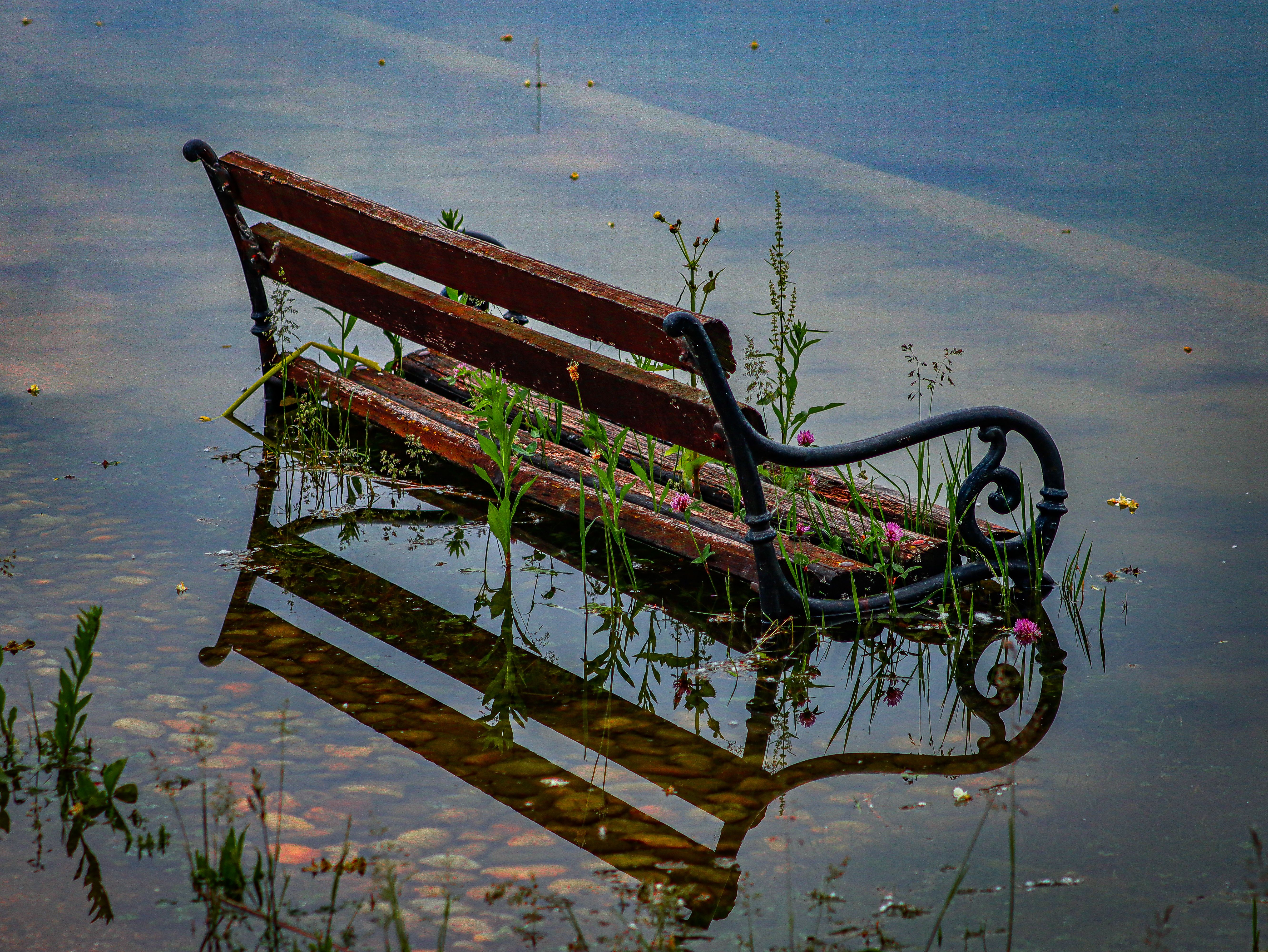 Bench Reflecting in Water · Free Stock Photo