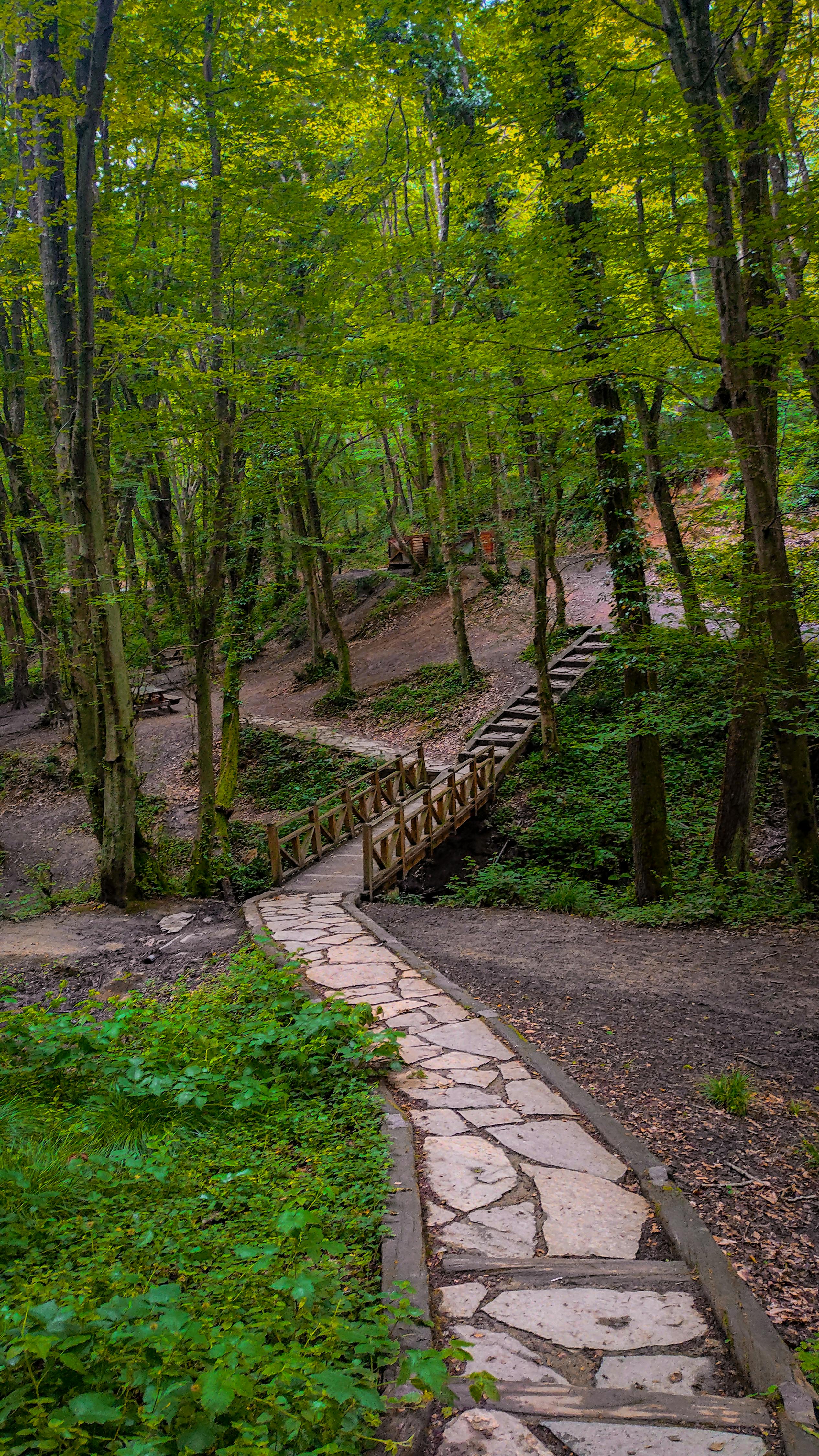 Footpath through Park · Free Stock Photo