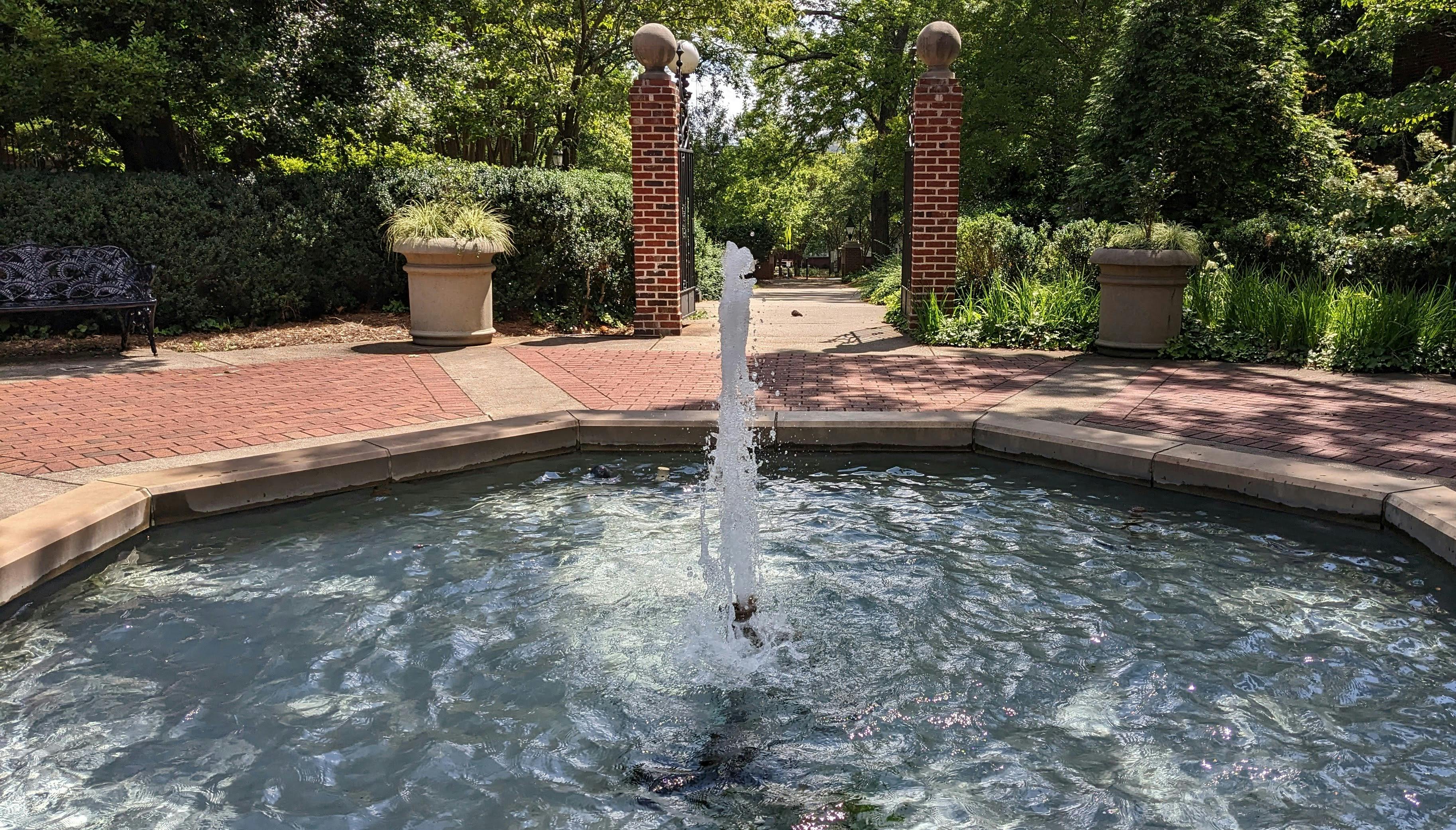 Robert Carnes - 사진