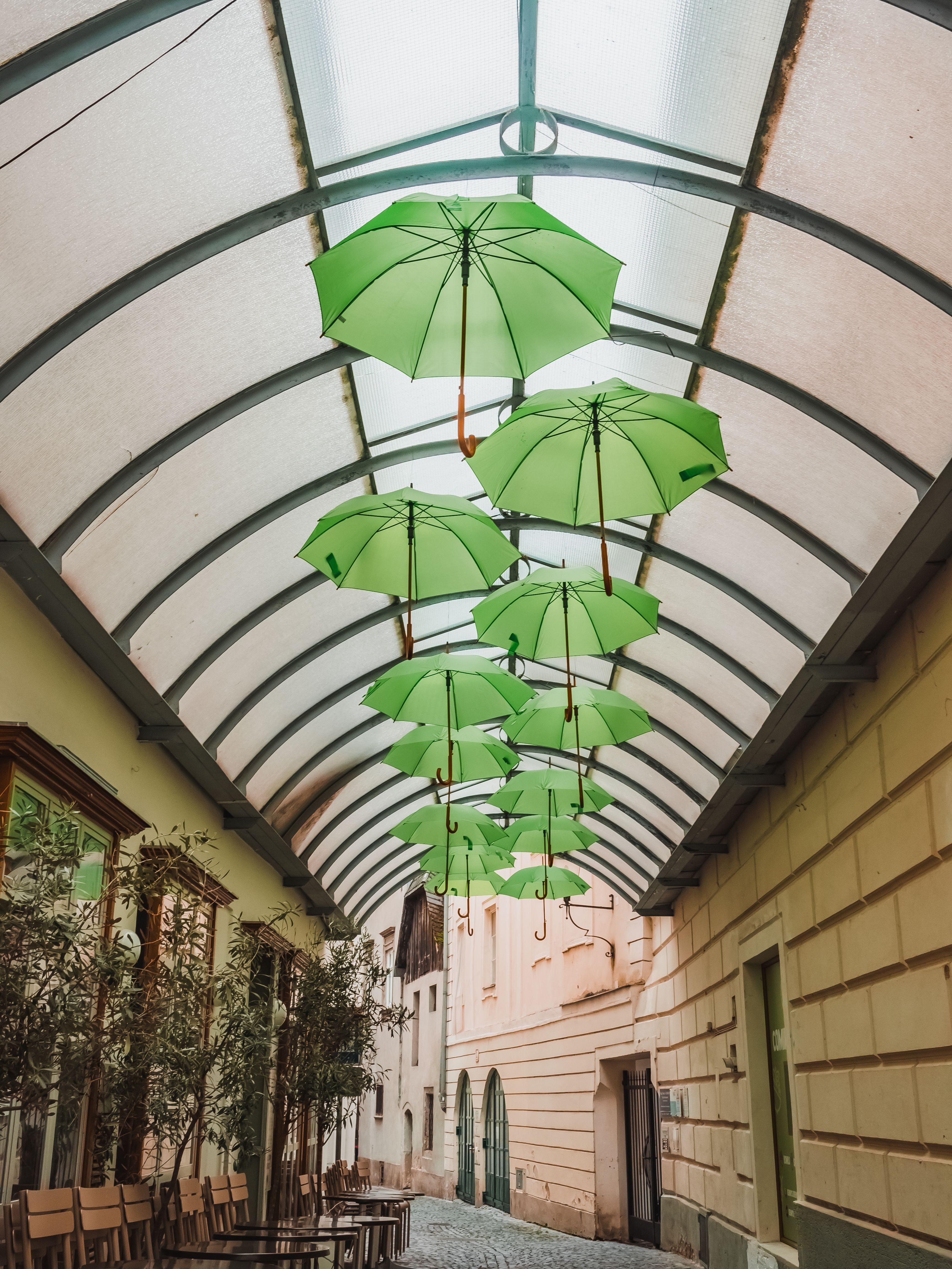 Ceiling and Umbrellas over Alley in Town · Free Stock Photo