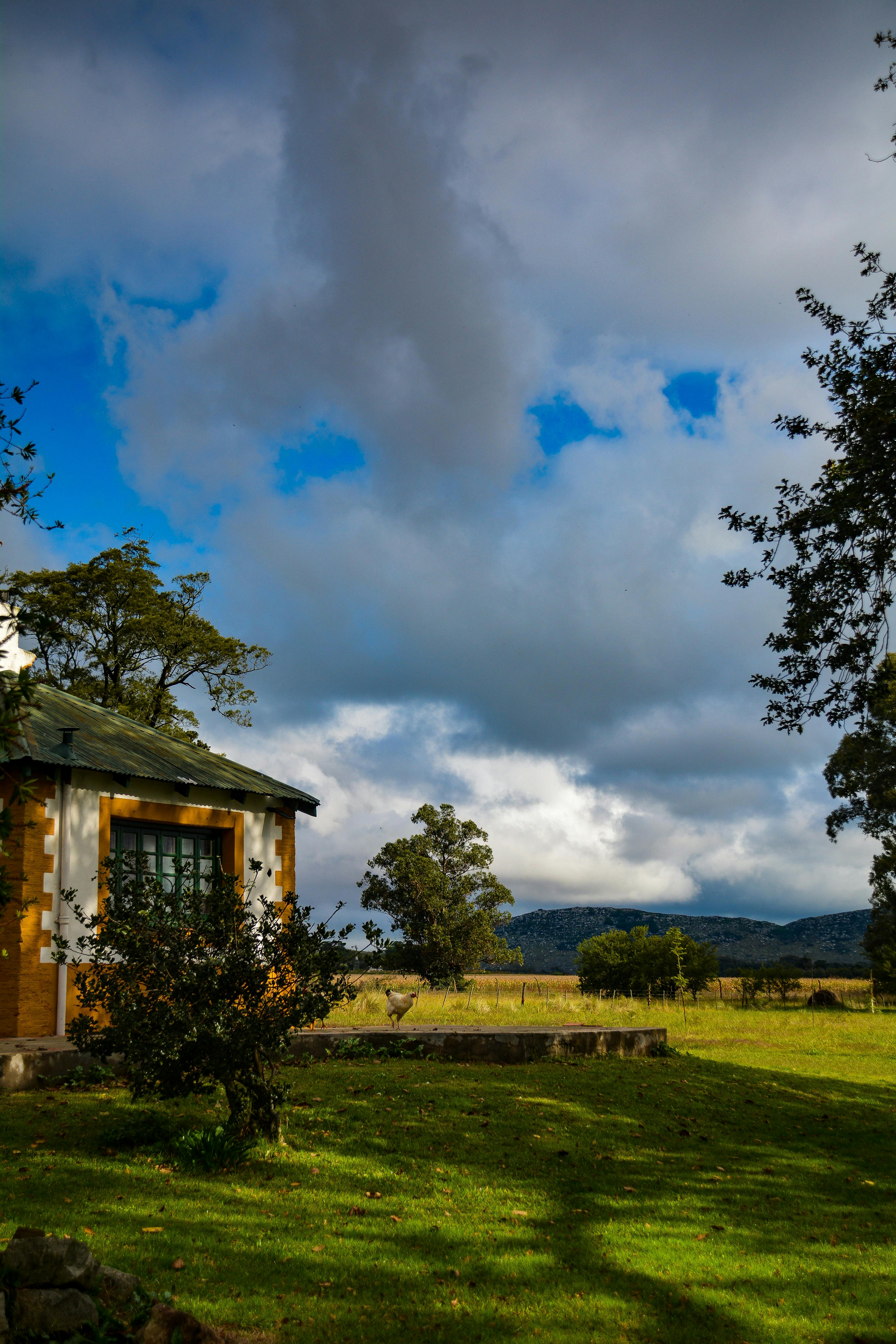 House in Idyllic Countryside · Free Stock Photo