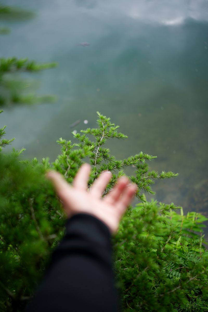 Arm Reaching Out Photos, Download The BEST Free Arm Reaching Out Stock ...