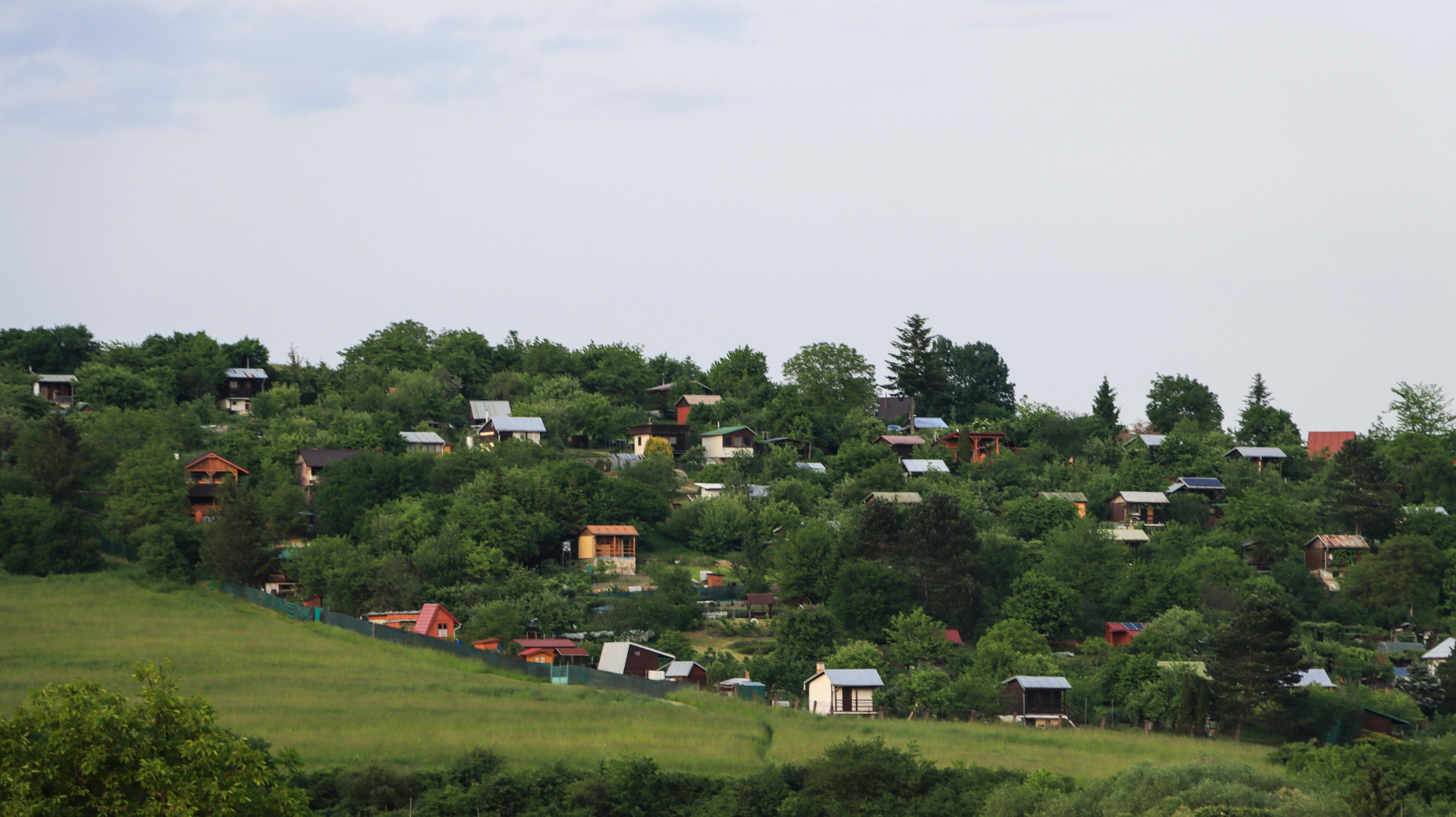 Allotment Photos, Download The BEST Free Allotment Stock Photos & HD Images