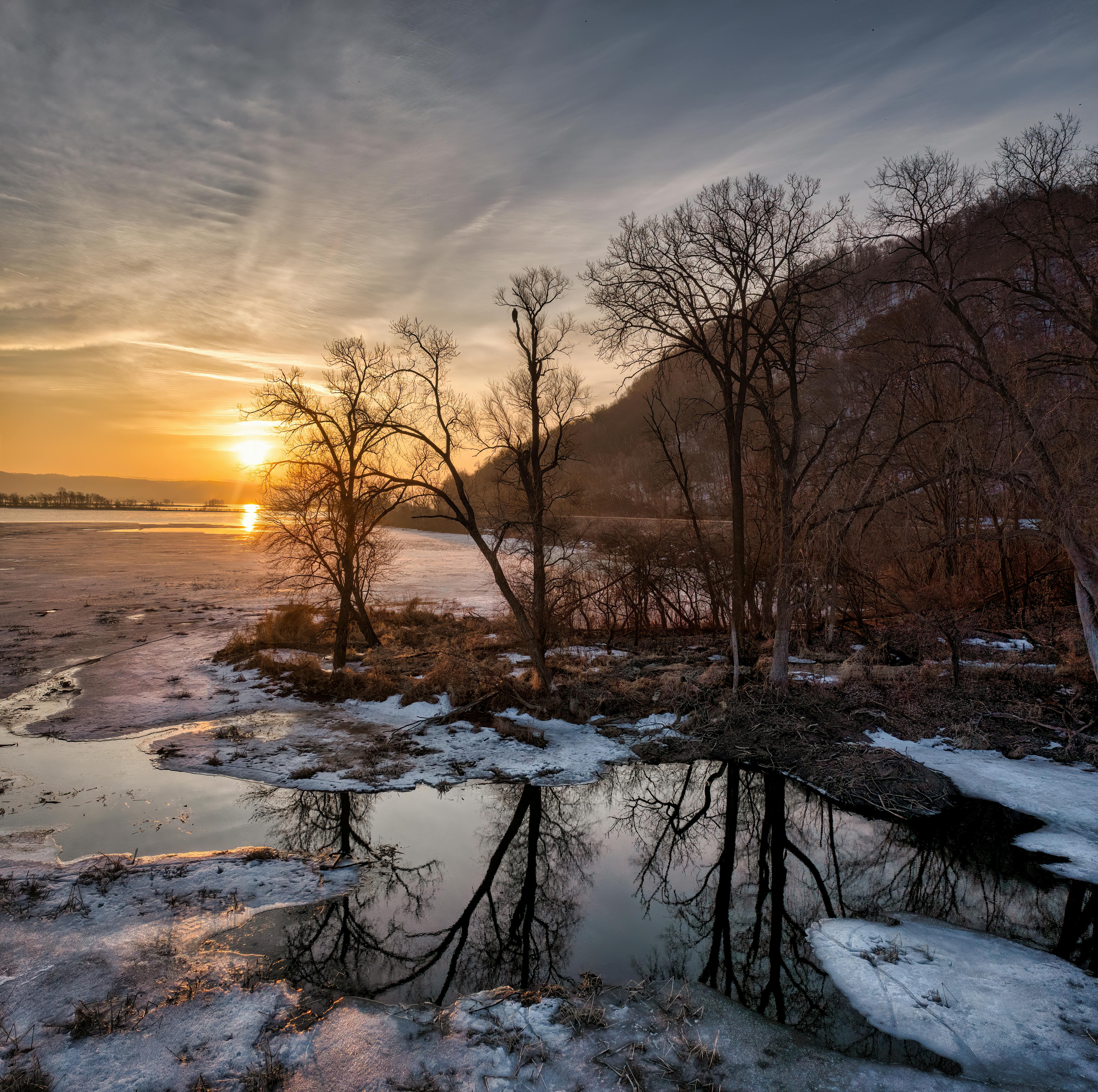 Trees around Lake at Sunset · Free Stock Photo