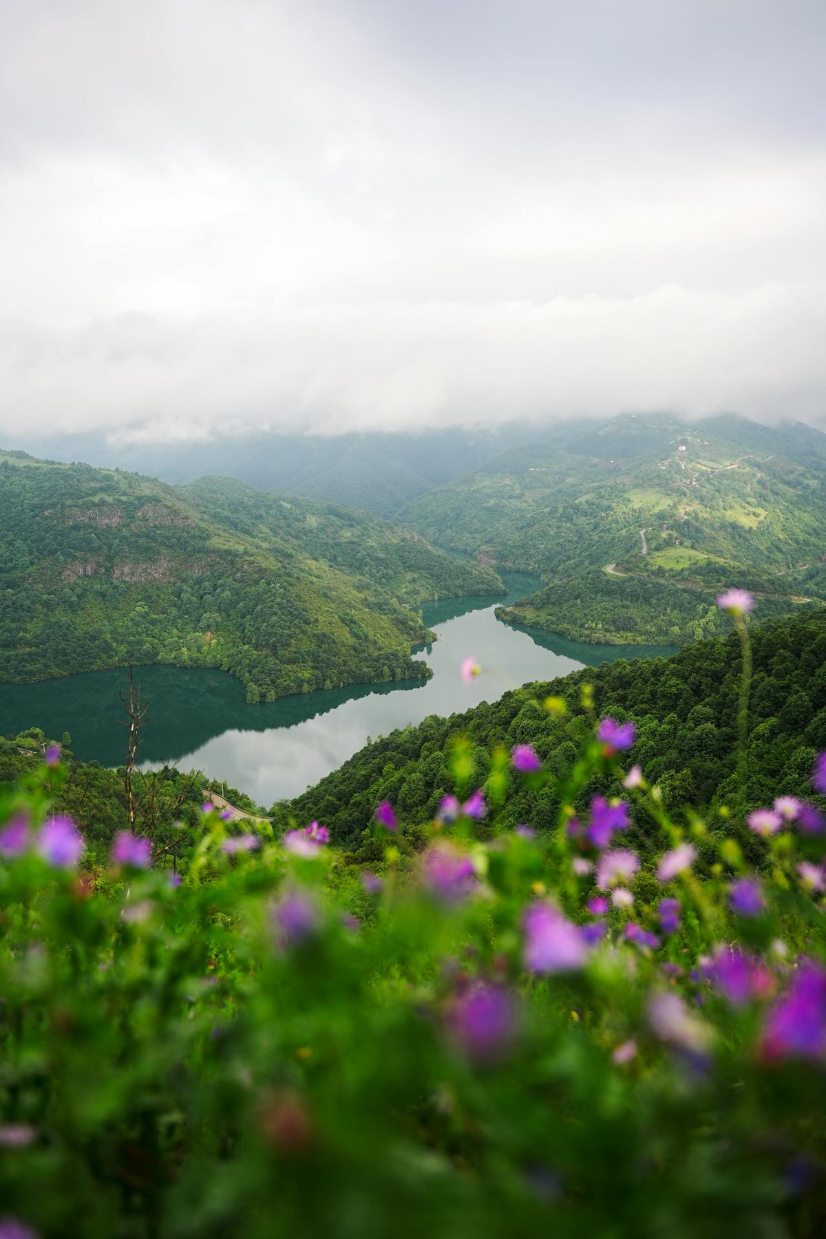 Bangus Valley Photos, Download The BEST Free Bangus Valley Stock Photos ...