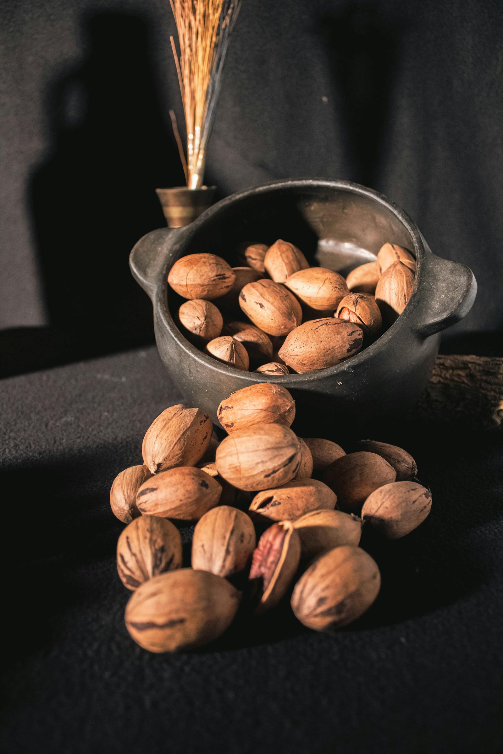 Pecans Photos, Download The BEST Free Pecans Stock Photos & HD Images