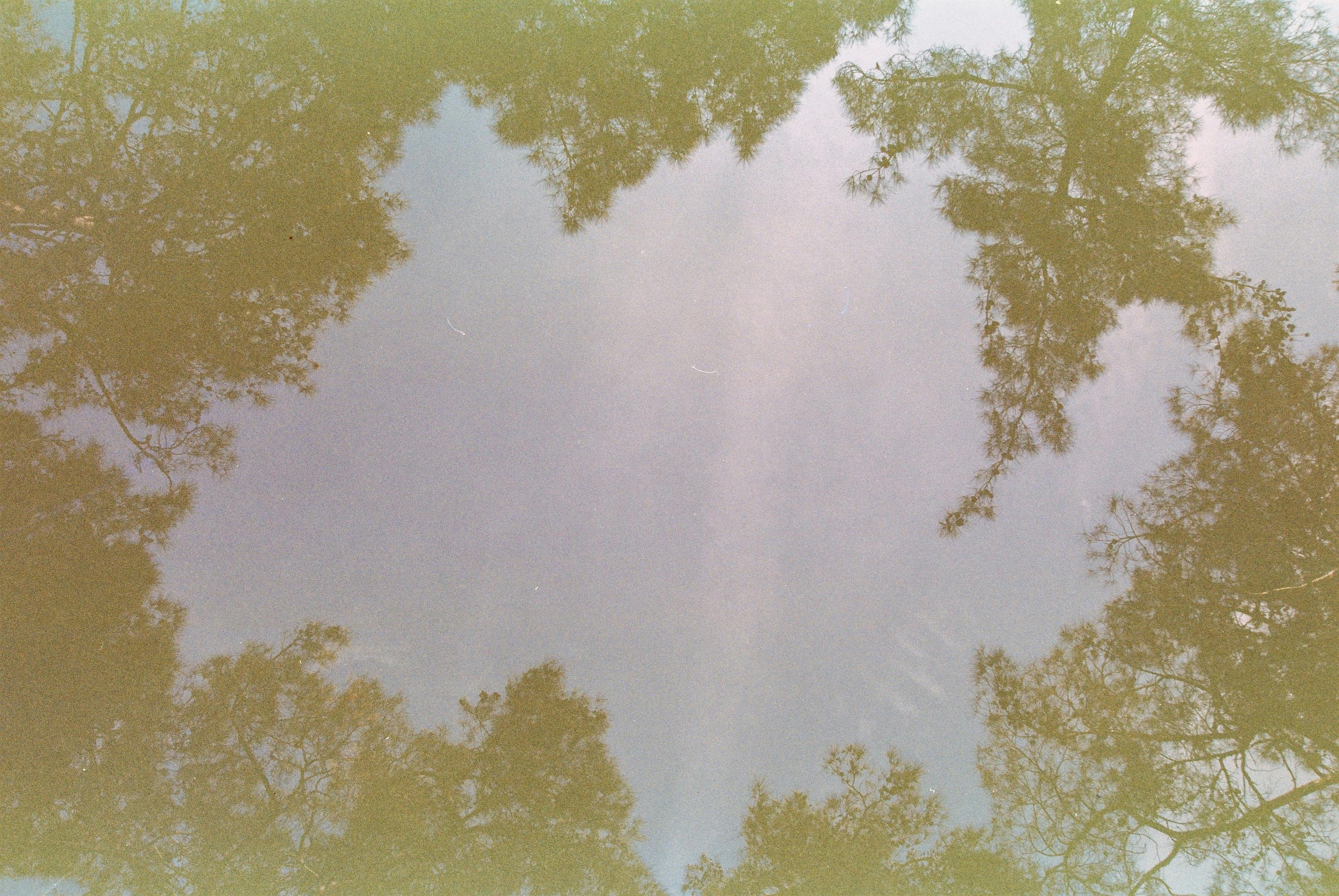 Grainy Picture Photos, Download The BEST Free Grainy Picture Stock ...