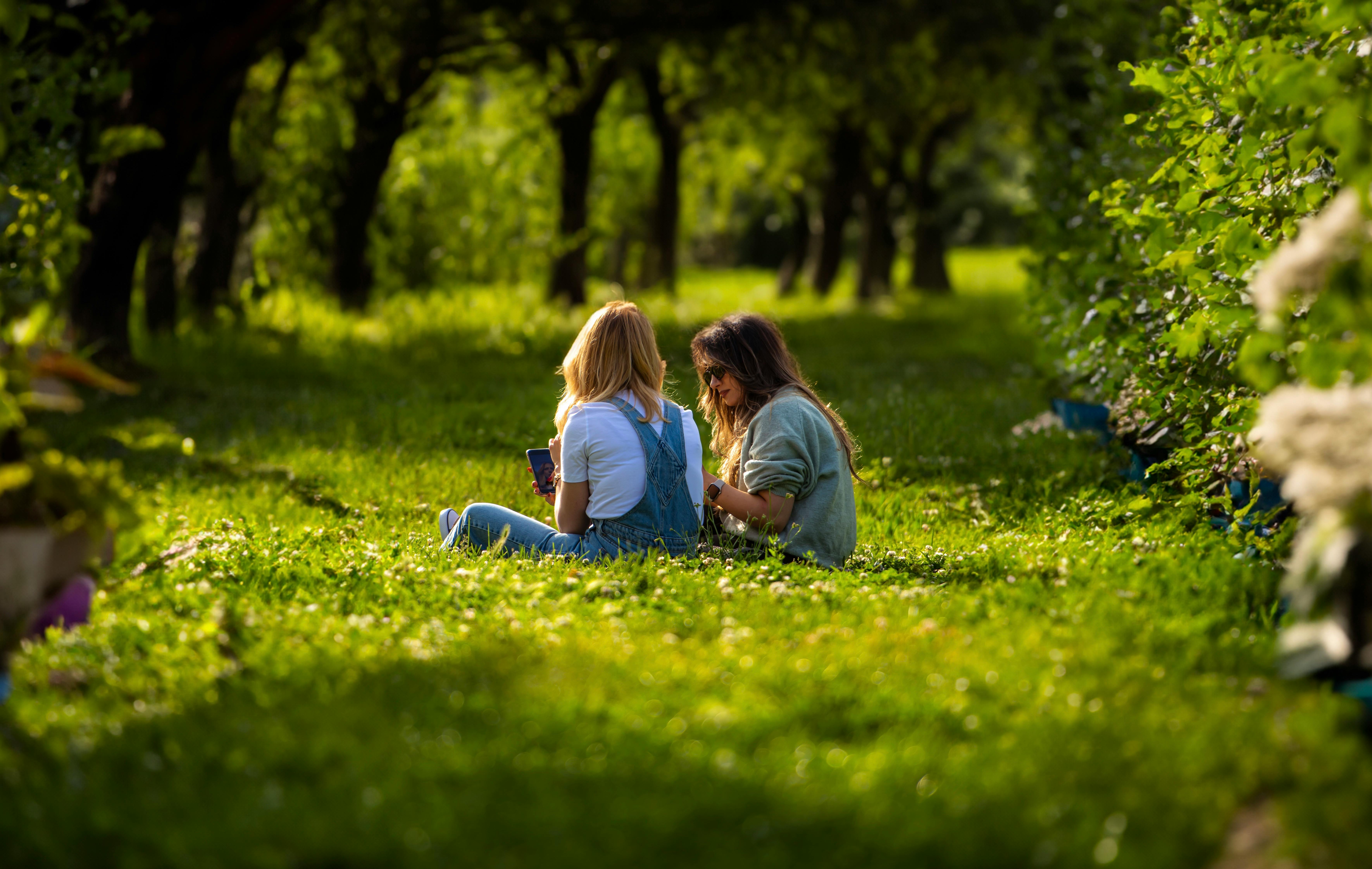 Bountiful Orchard Photos, Download The BEST Free Bountiful Orchard ...