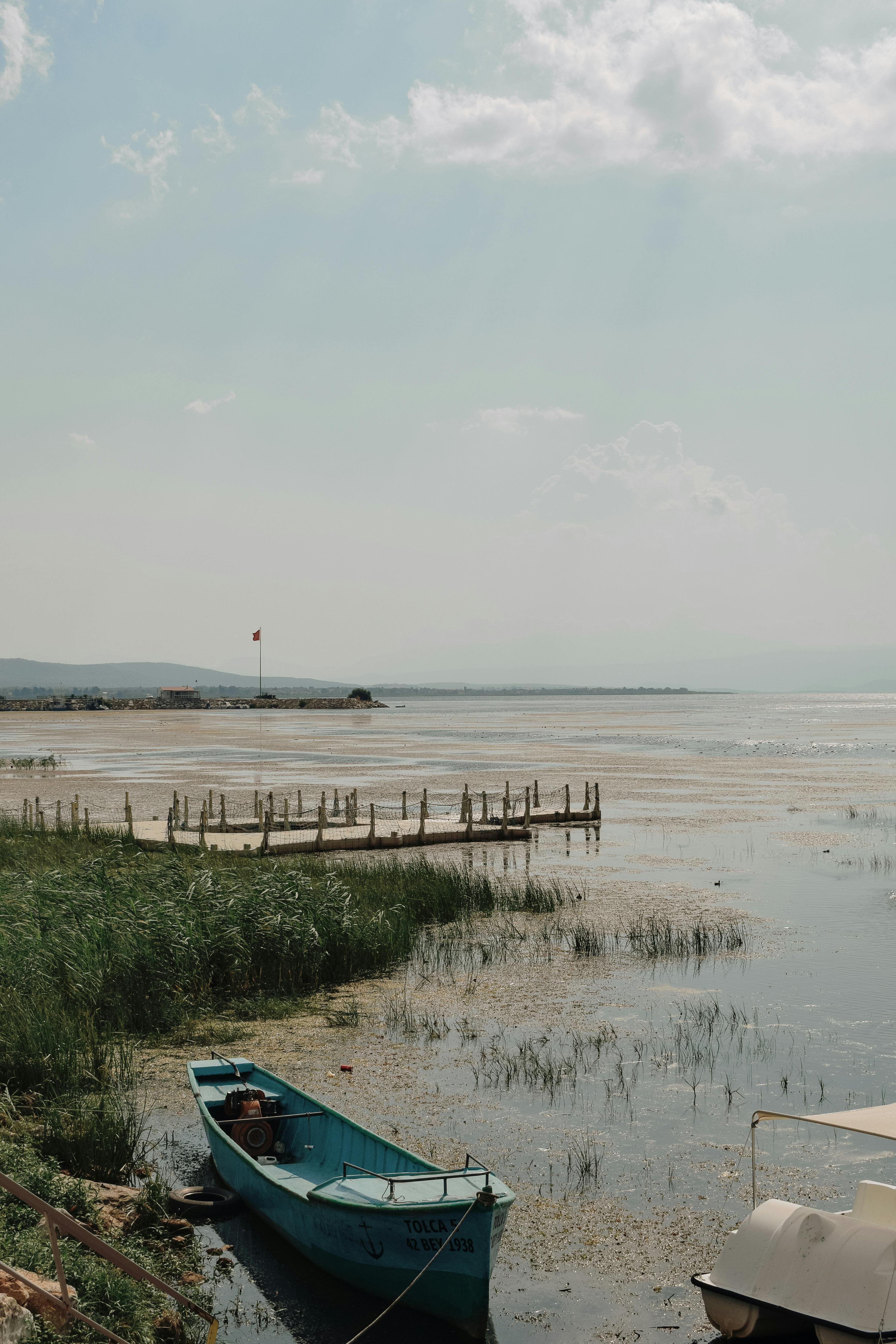 Scenic View of a Lake Shore · Free Stock Photo