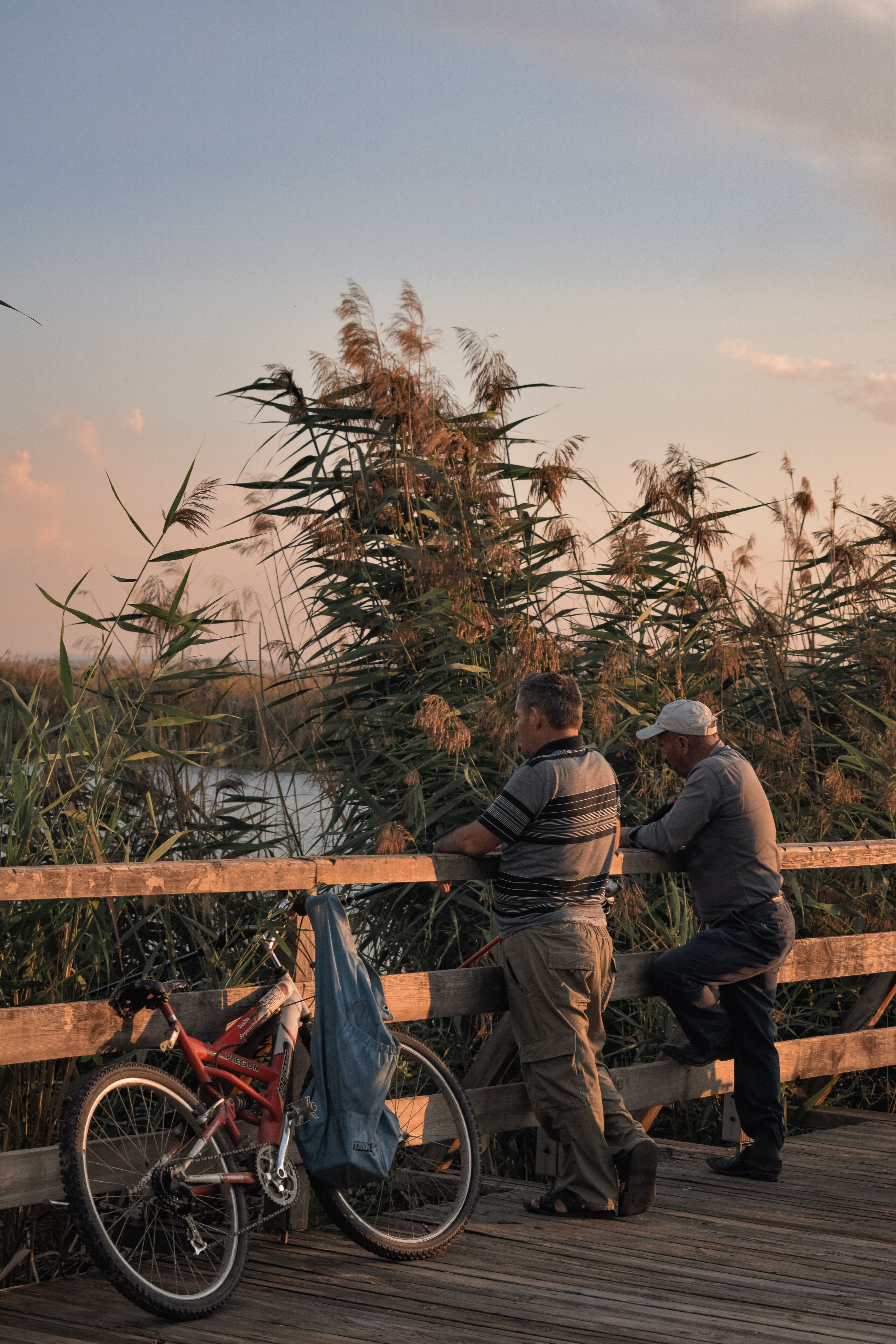 Two Men Standing on a Bridge · Free Stock Photo