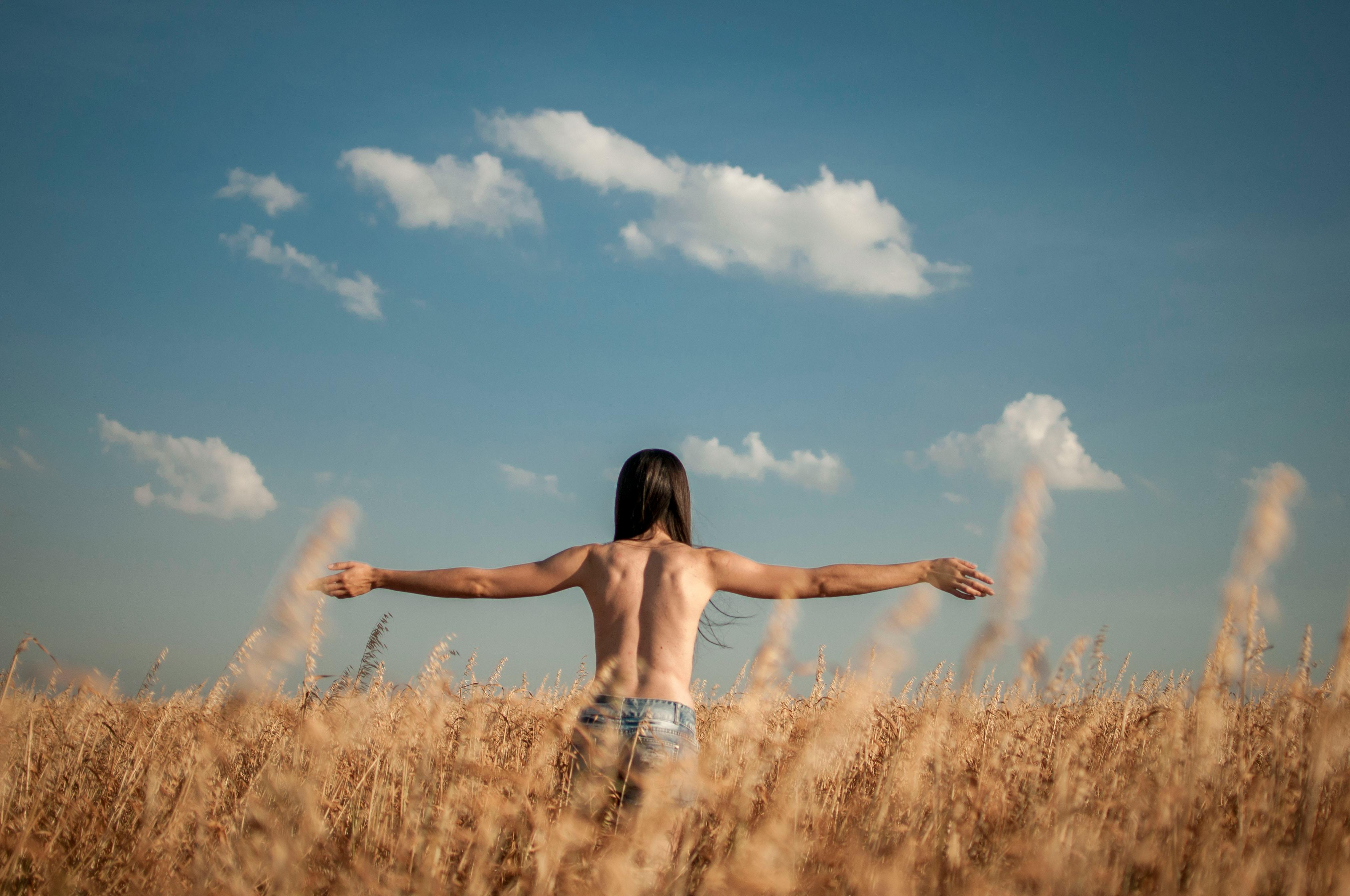 Havsfisk Farm Go Photos, Download The BEST Free Havsfisk Farm Go Stock ...