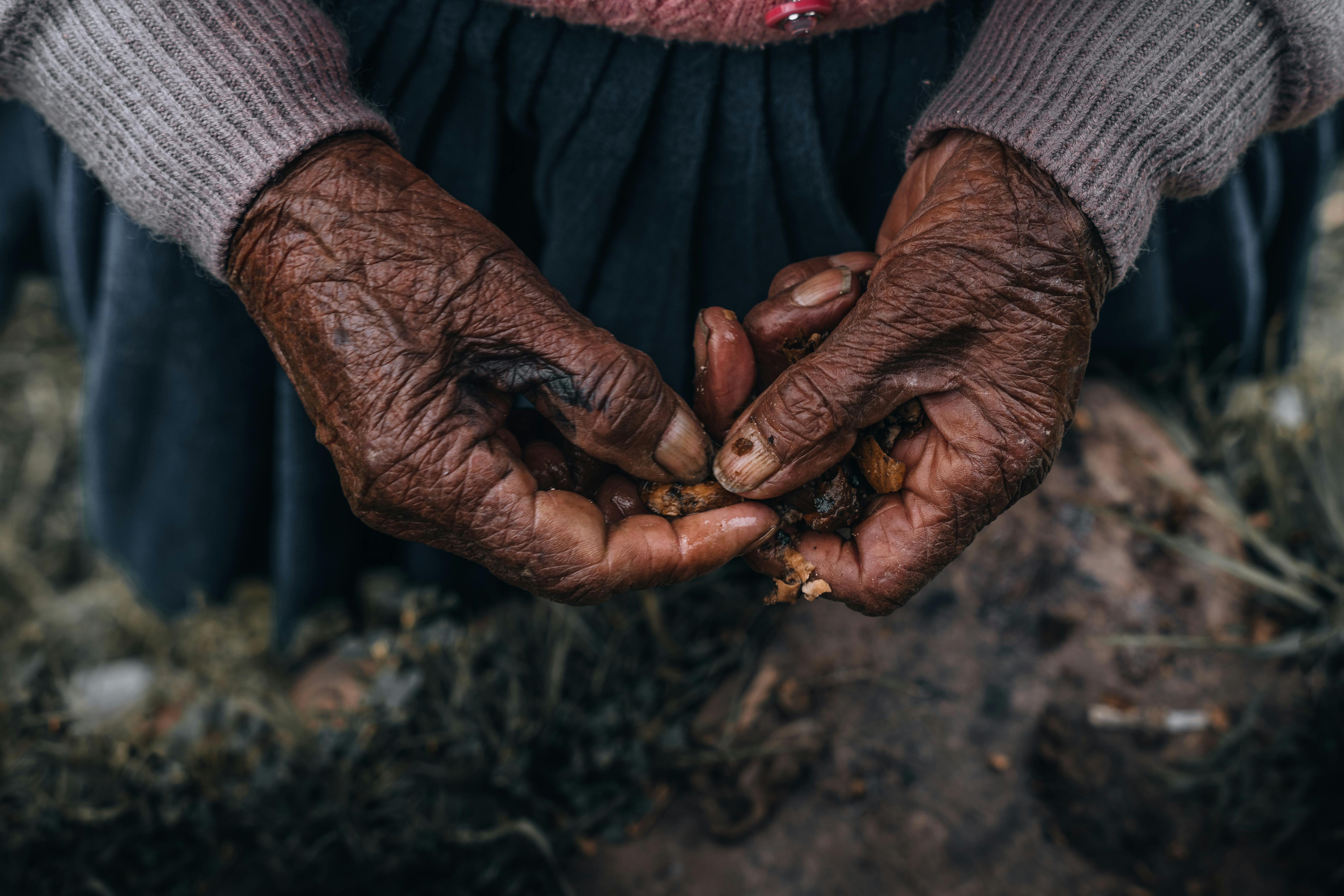 A Close-up Photo of an Elderly People Holding Each Others Hand · Free ...