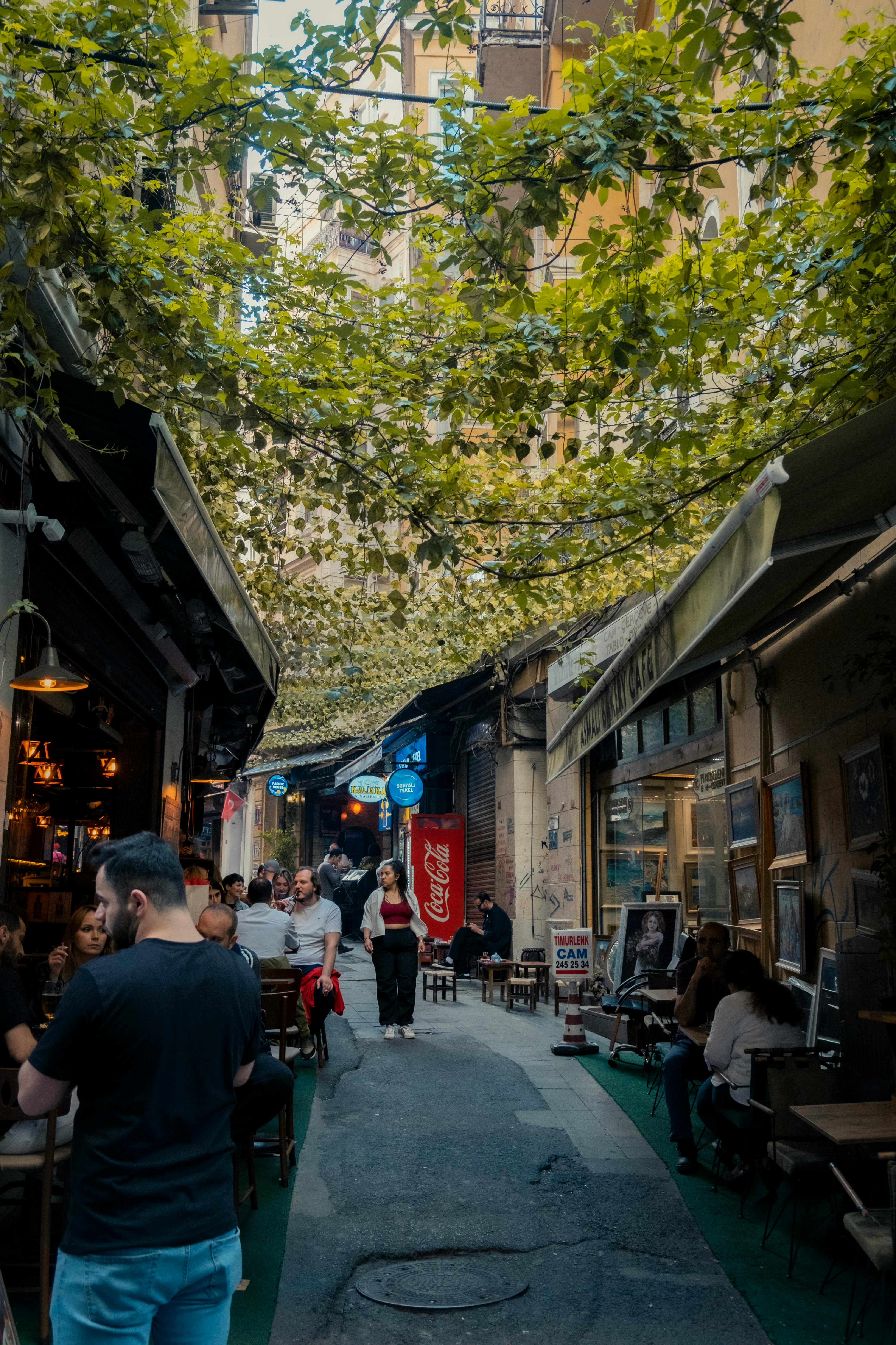 Week Decor Photos, Download The BEST Free Week Decor Stock Photos & HD ...