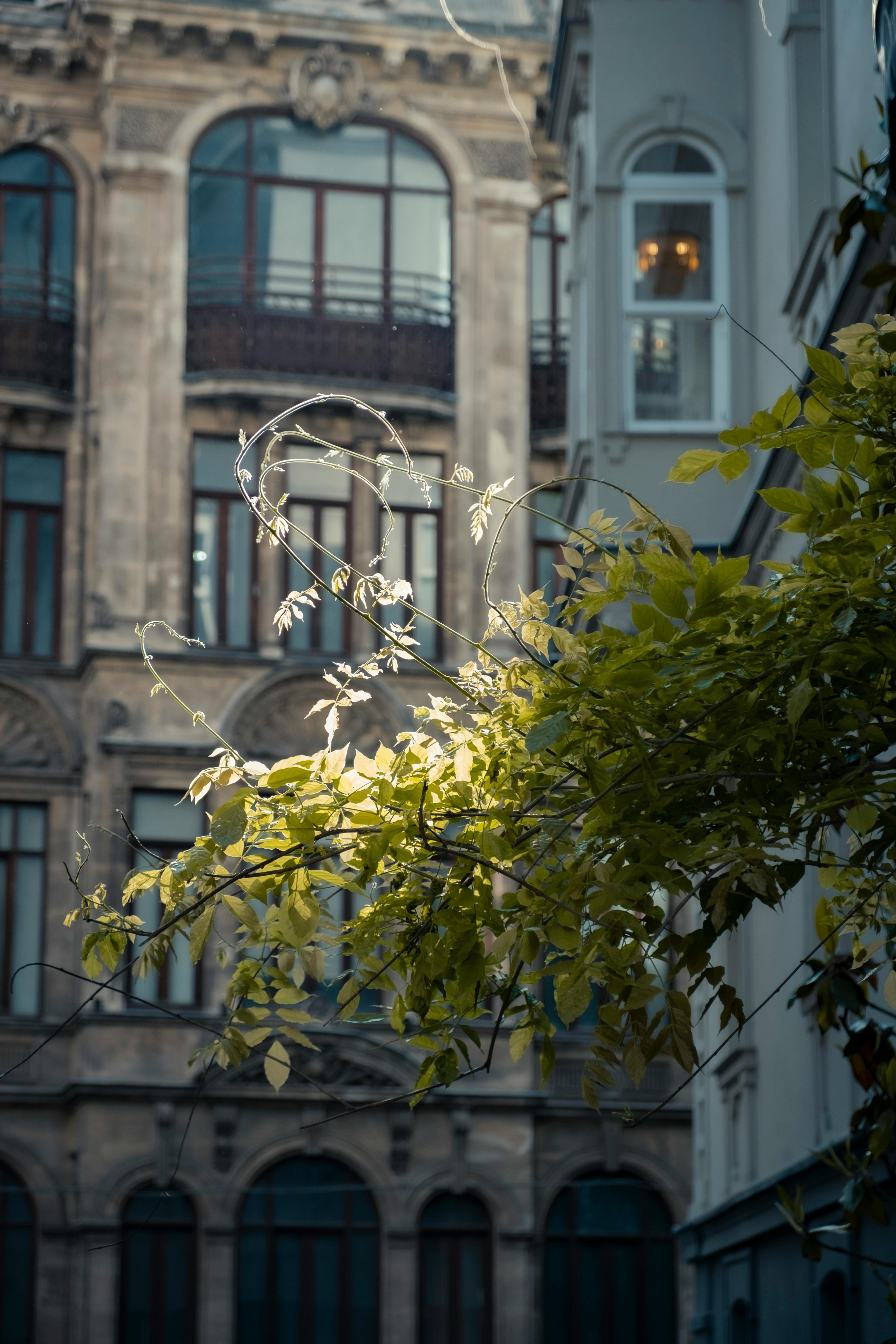 Lava Building Photos, Download The BEST Free Lava Building Stock Photos ...