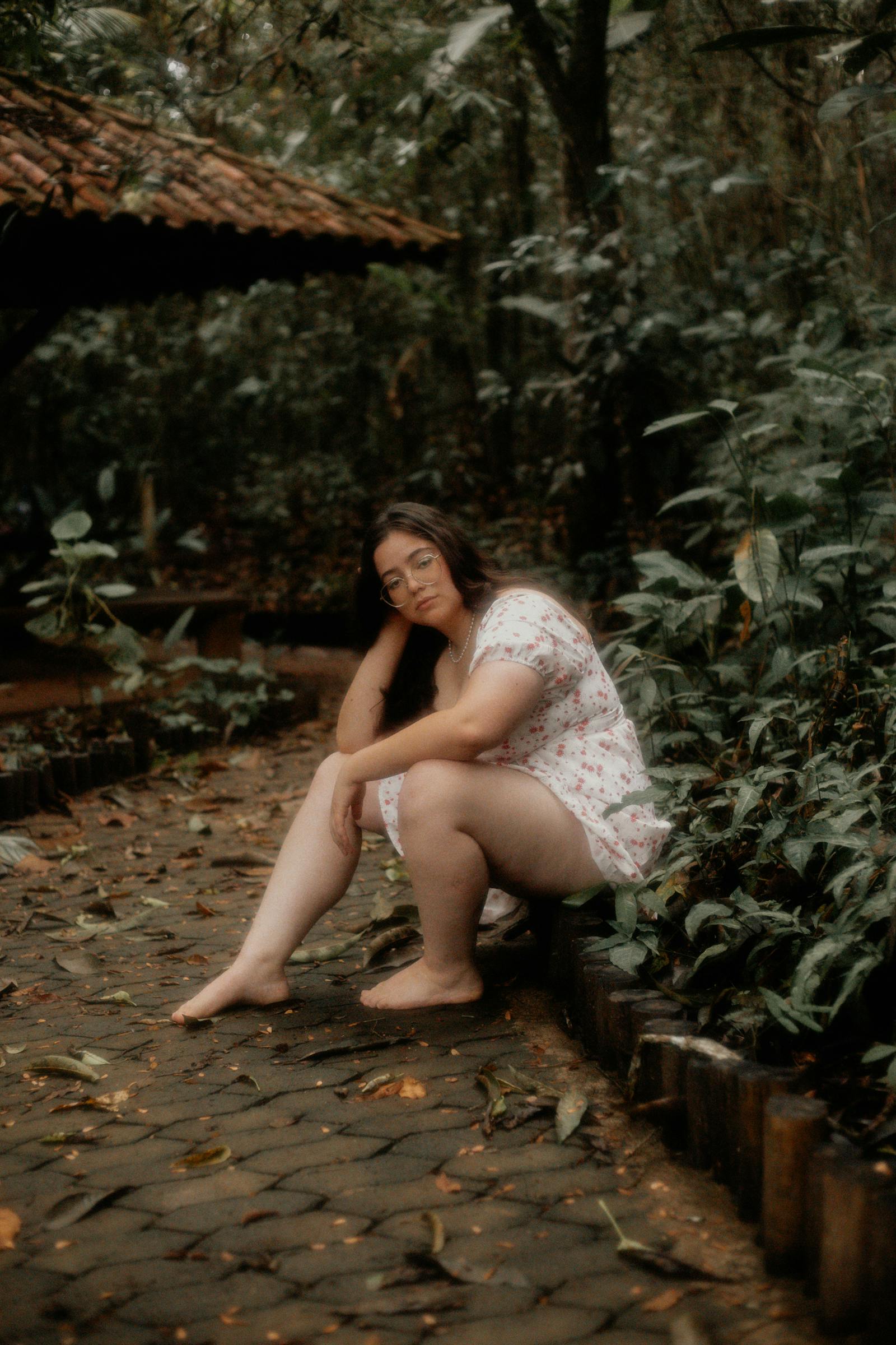 Forest Overview Photos, Download The BEST Free Forest Overview Stock Photos & HD Images