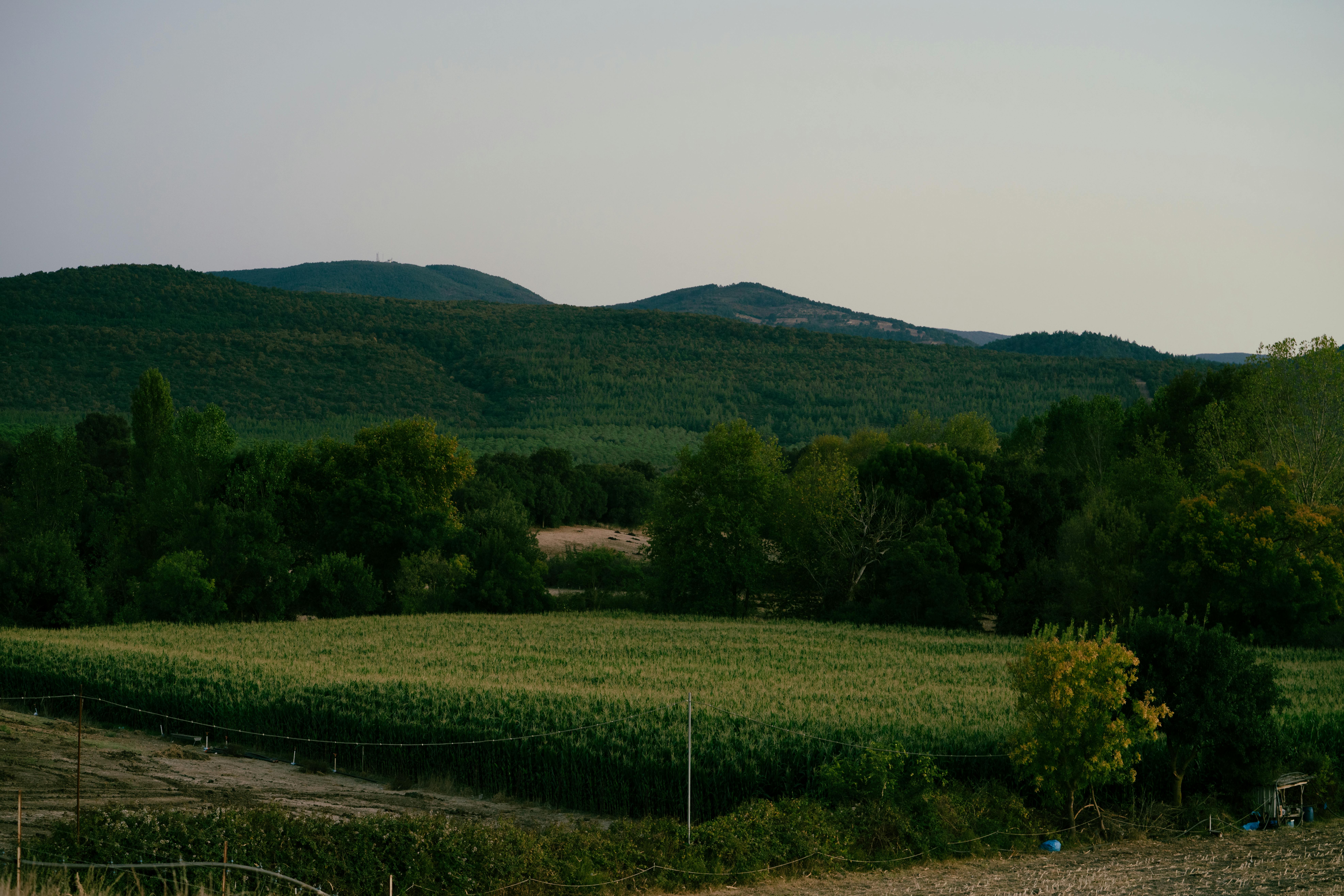 Green Countryside Landscape · Free Stock Photo
