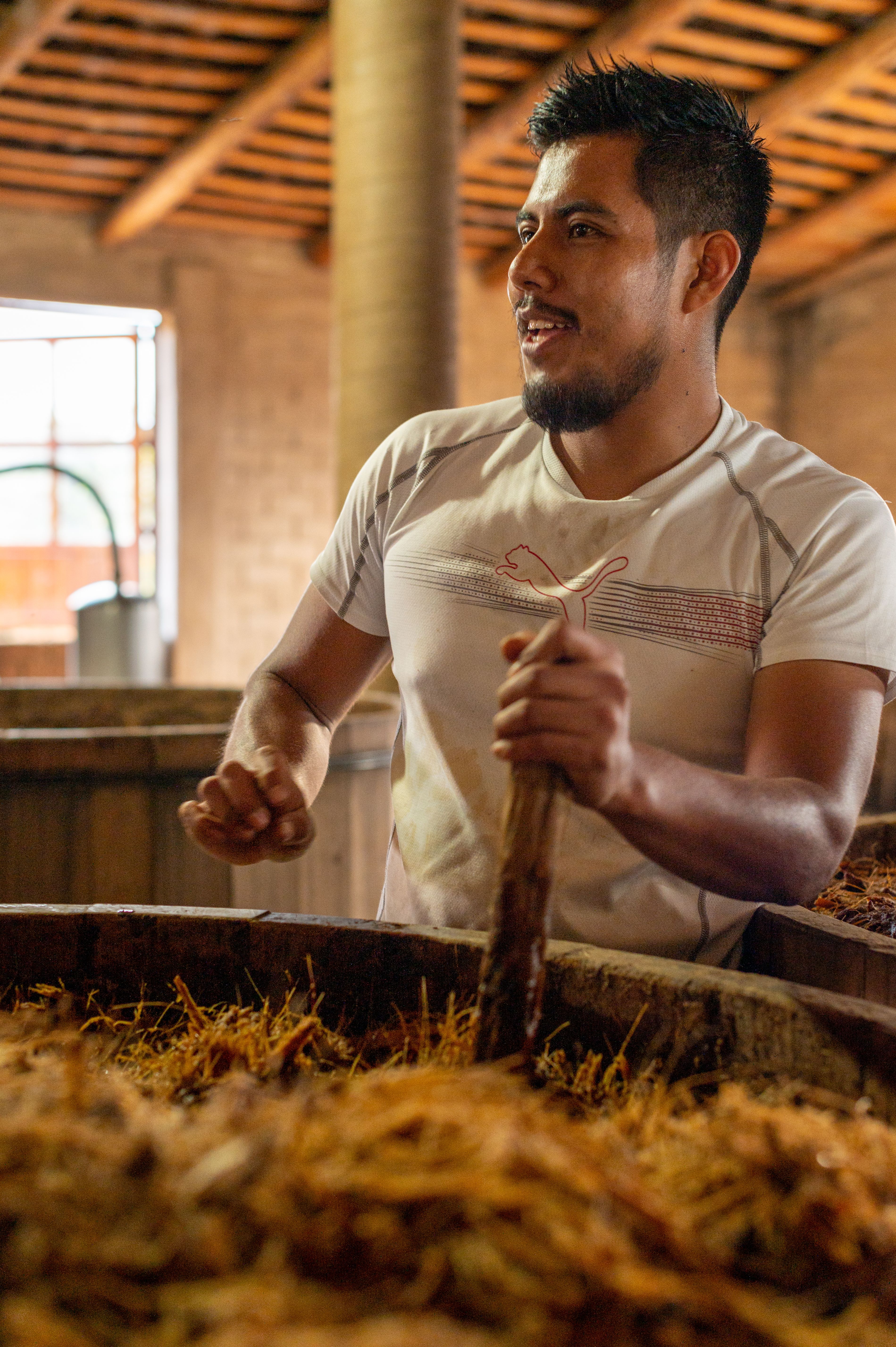 Working Man in T-shirt · Free Stock Photo