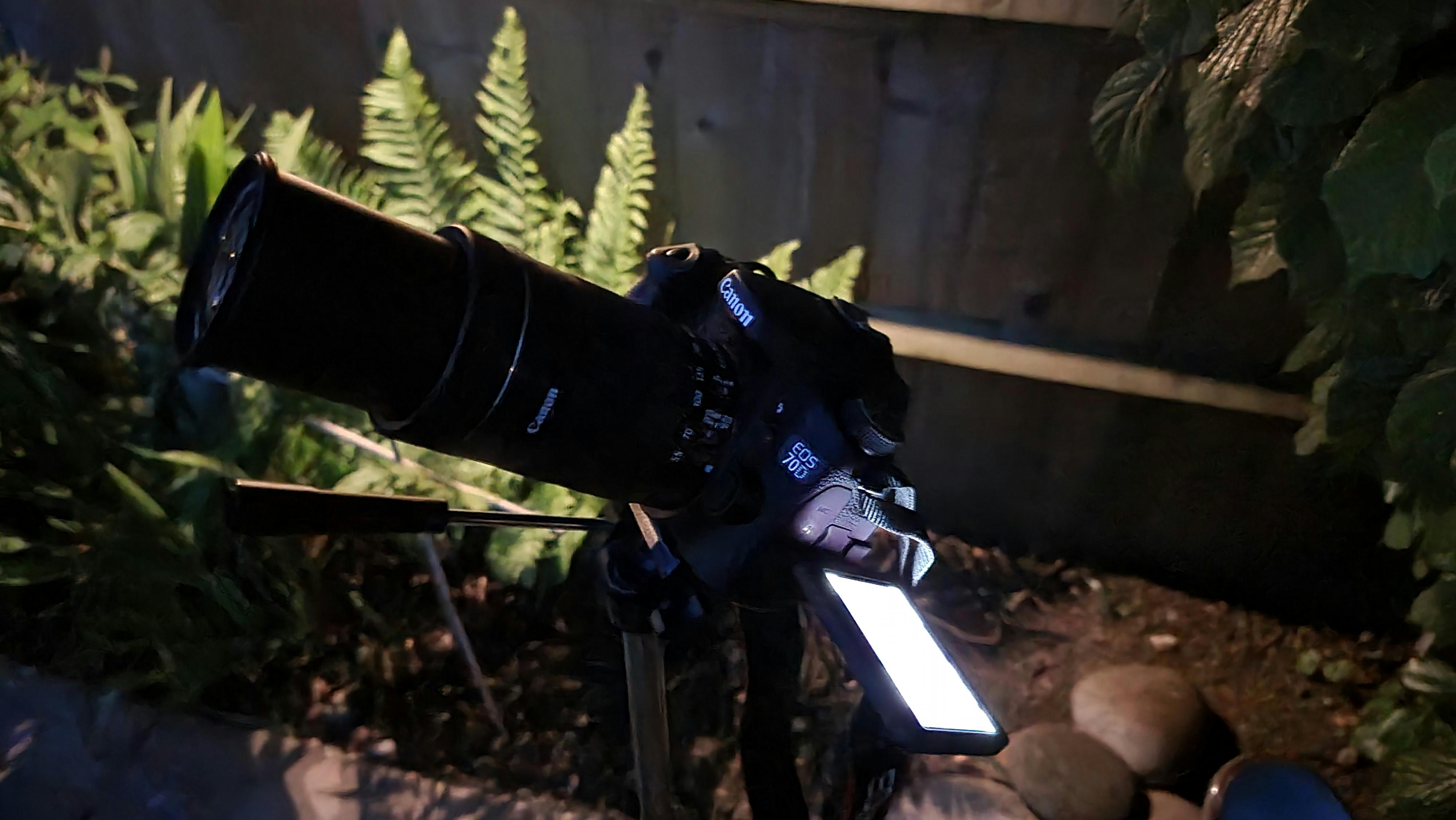 Flynn Robinson - Photographie