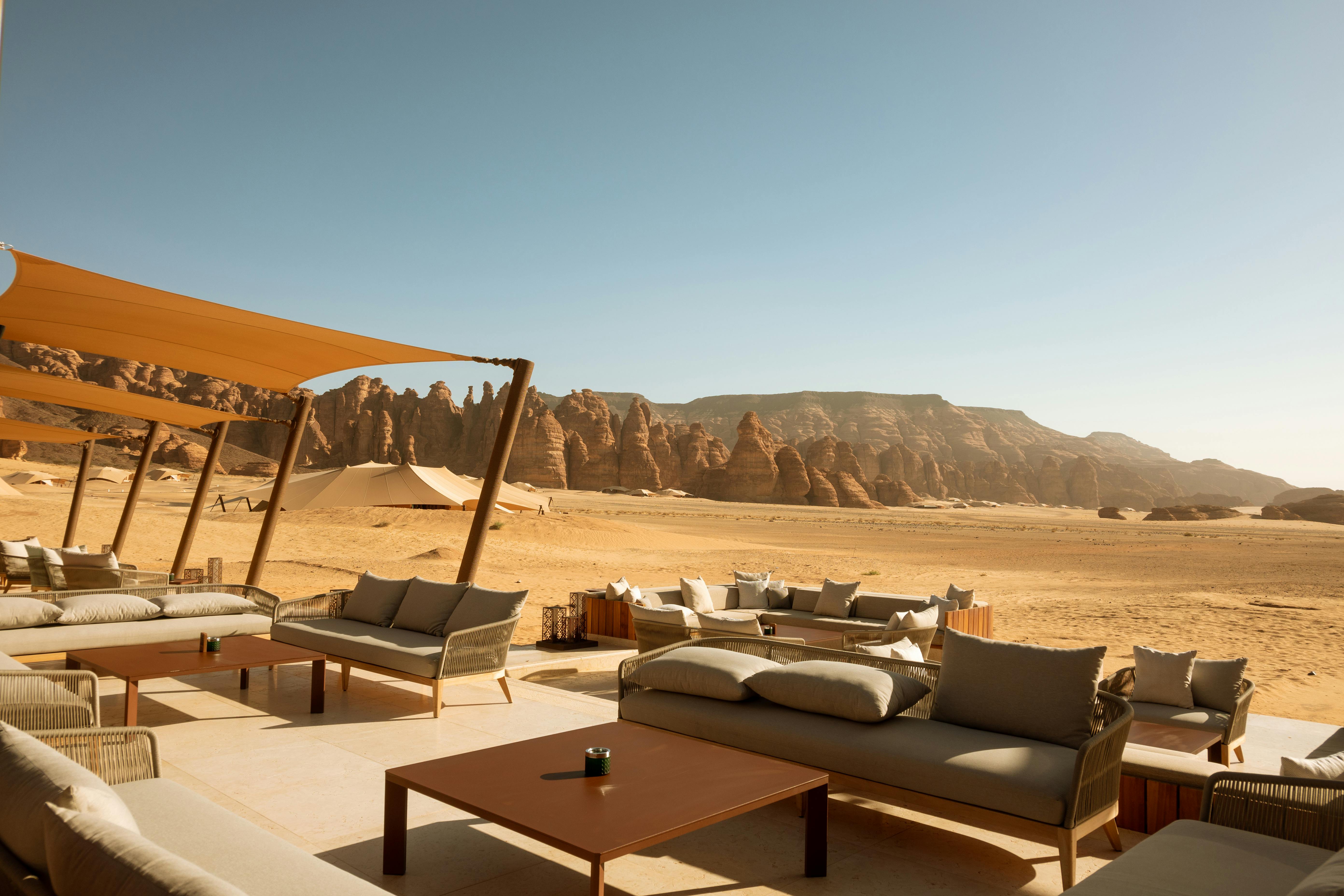 Alula Photos, Download The BEST Free Alula Stock Photos & HD Images