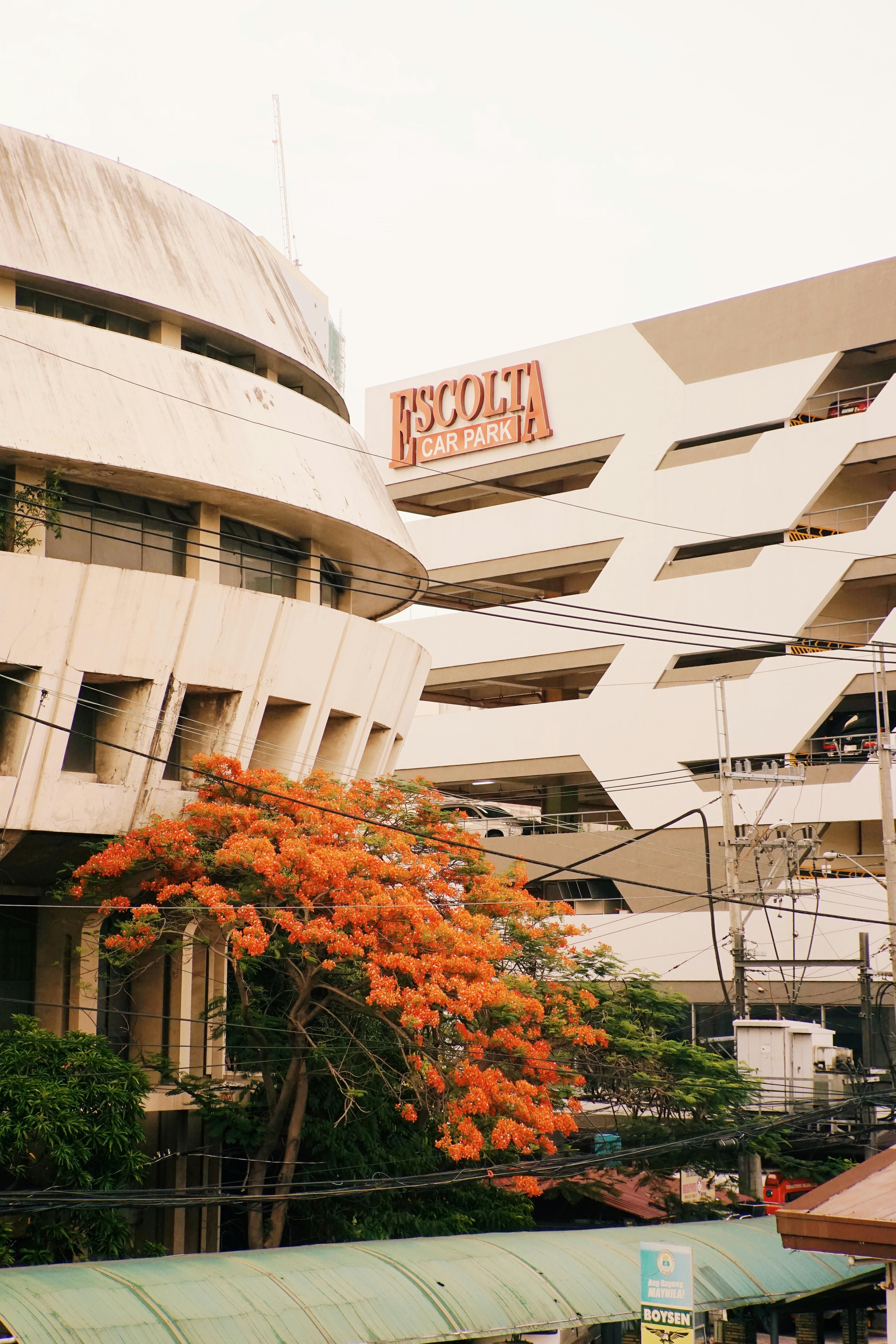 8.000+ melhores imagens de Hesh Round Impact · Download 100% grátis ...