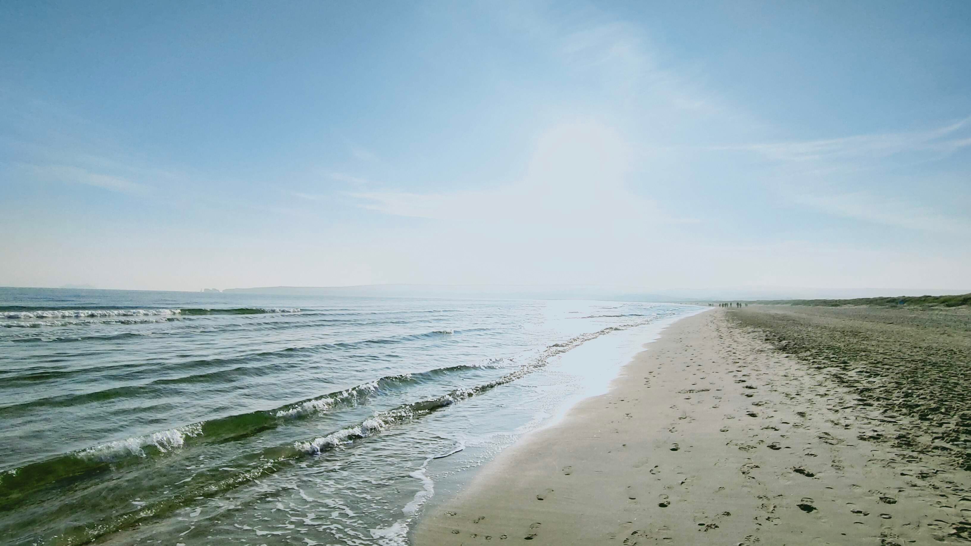 Sunny Grassy Beach · Free Stock Photo